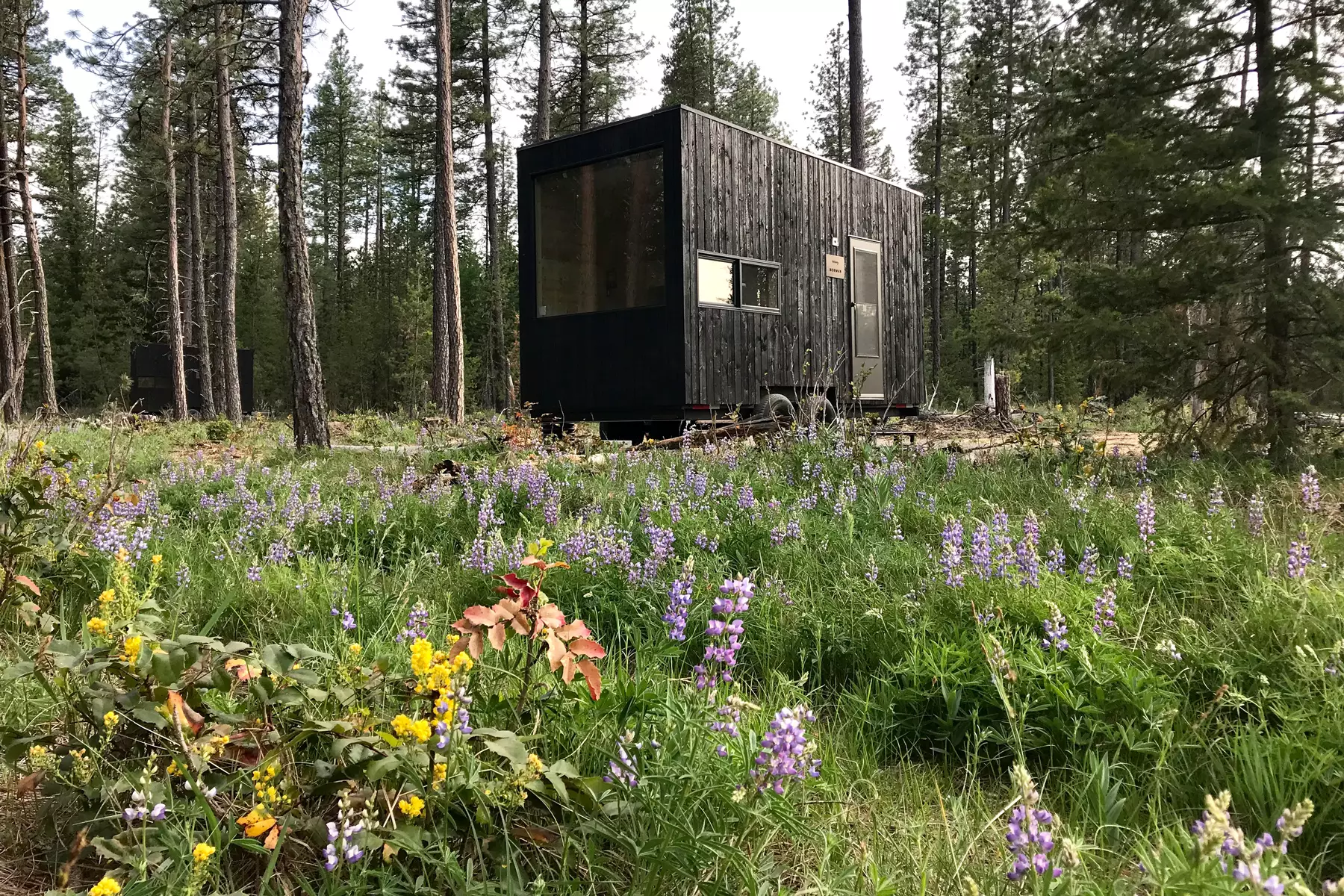 Väike majake metsaga kaetud heinamaa keskel