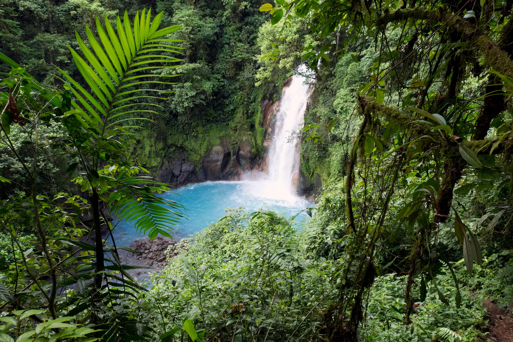 Biyaha waxay ku dhacaan Rio Celeste, Beerta Qaranka ee Tenorio, Guanacaste, Costa Rica, Bartamaha Ameerika