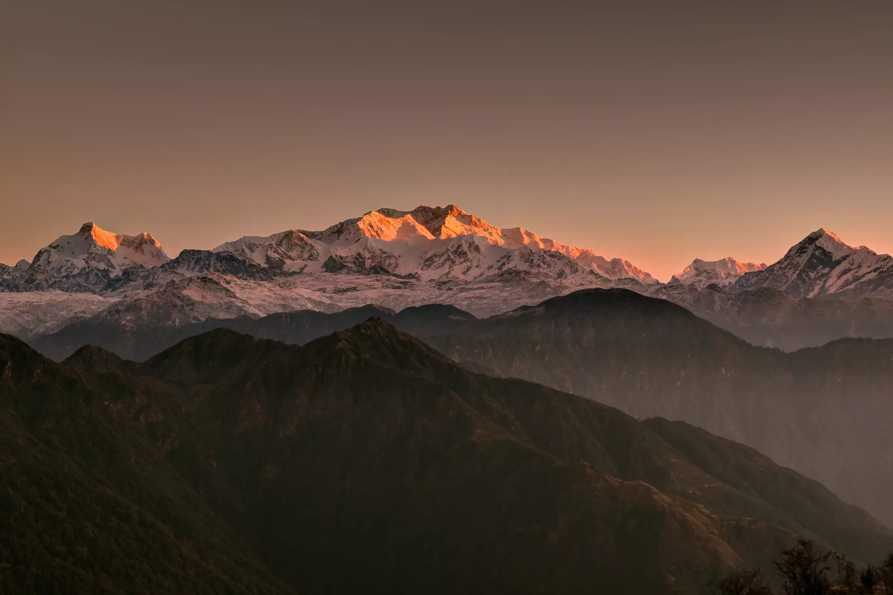 Kangchenjunga 범위는 Singalila 국립 공원, West Sikkim, India의 Phoktey dara에서 시작됩니다.