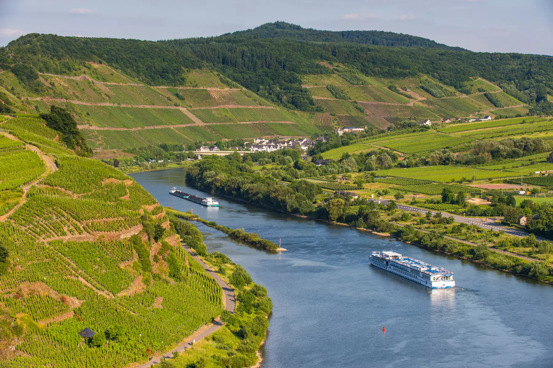 유럽에서 가장 가파른 포도원 위치인 Bremm의 Riverbend를 통과하는 유람선, Moselle Valley, Rhineland-Palatinate, Germany, Europe