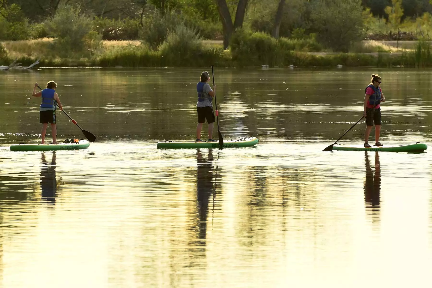 Gozando do clima cálido no James M. Robb Colorado River State Park en Grand Junction, Colorado.