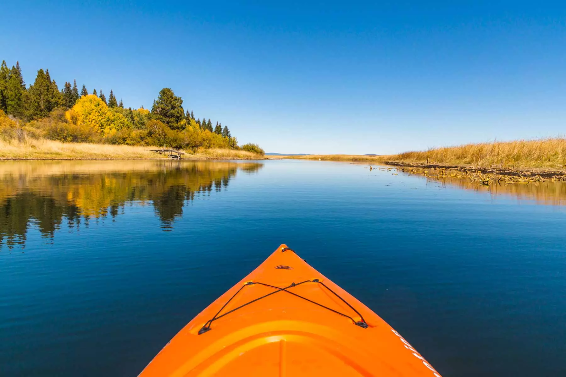 Ava lanu moli e fiafia i le vai lanu moana lamolemole o Lower Klamath Lake ma lau laulaau.