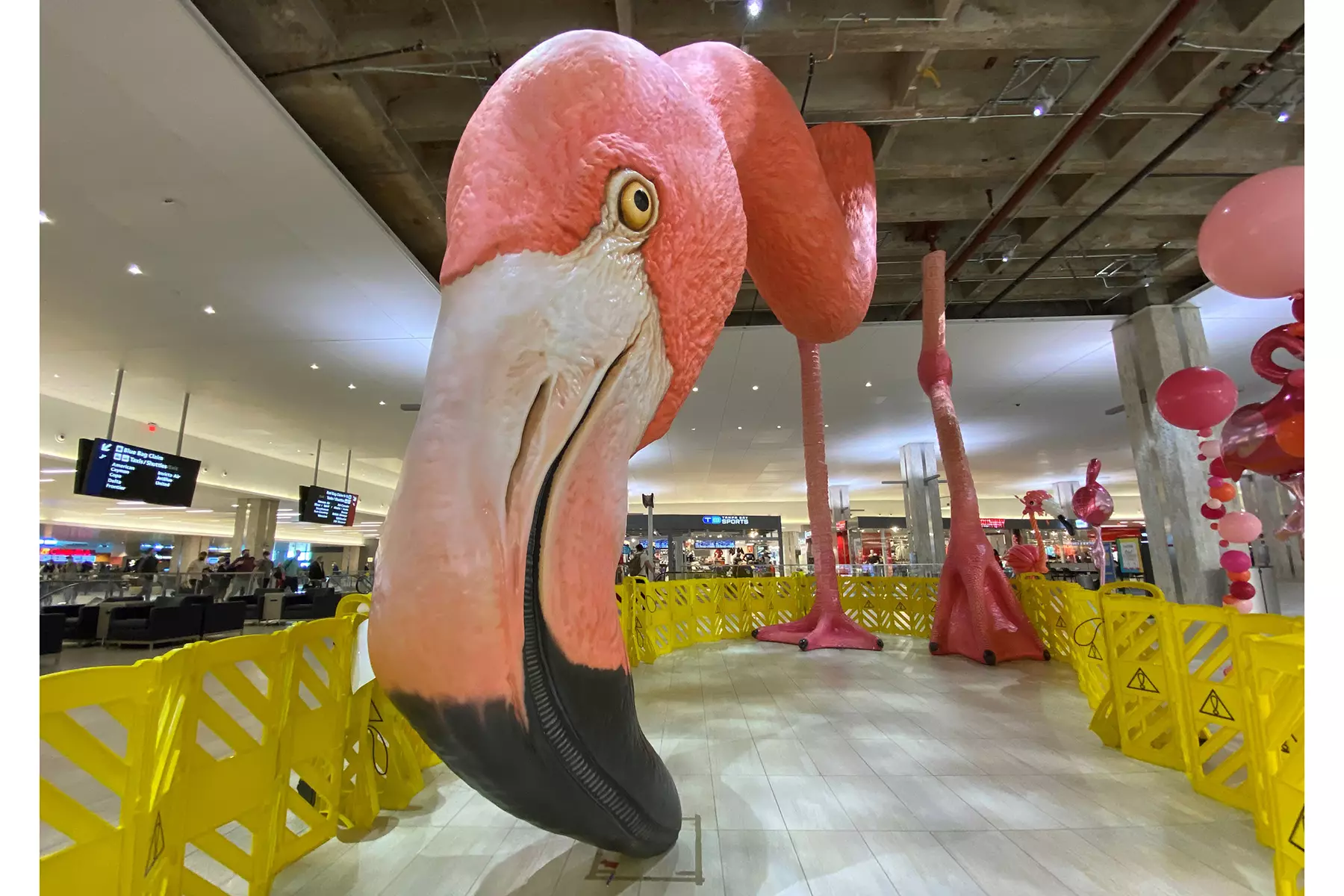 Enstalasyon atizay piblik Flamingo jeyan an pwogrè nan Ayewopò Entènasyonal Tampa