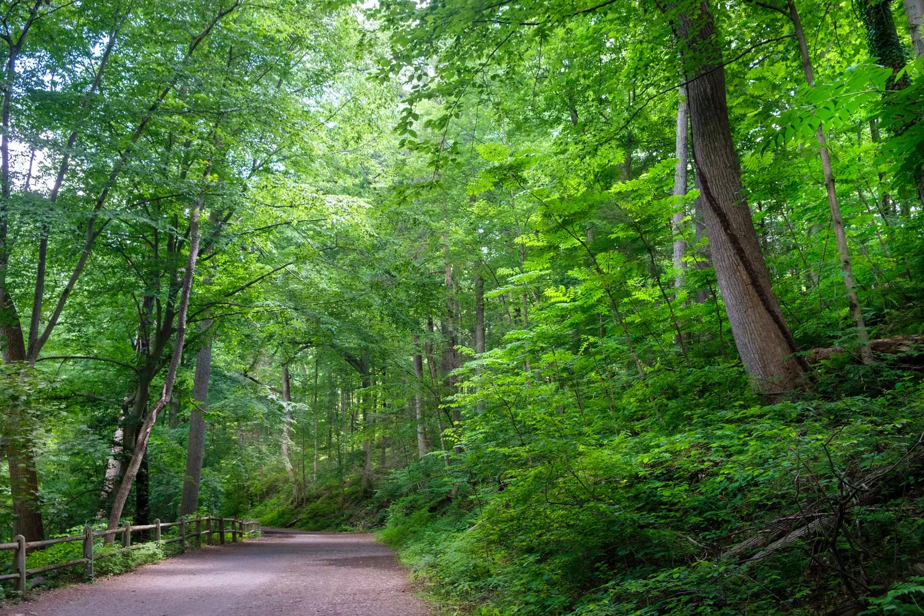 I-Wissahickon Valley Park kanye ne-Forbidden Drive yomlando, e-Philadelphia