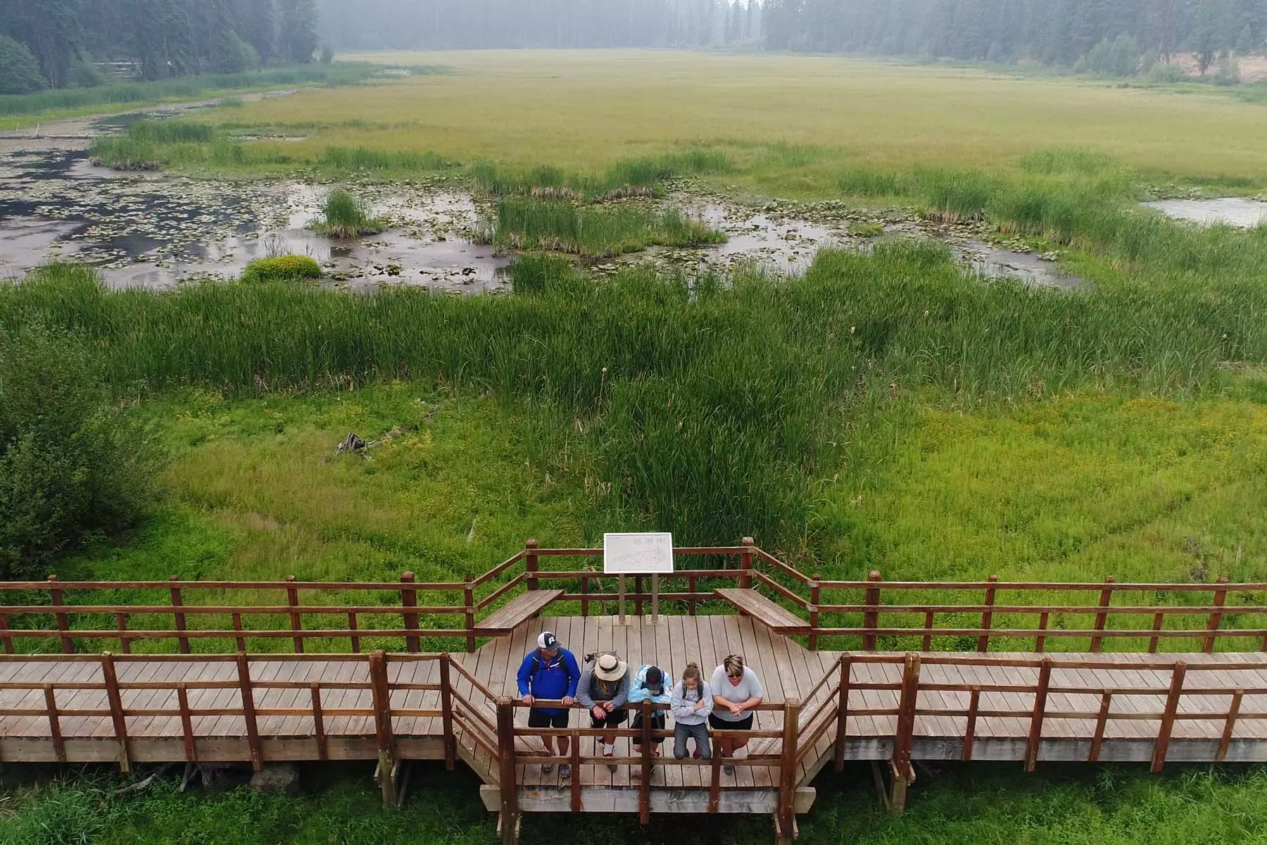 Ndị mmadụ na-aga ije na Lily Marsh Trail na Pondersoa State Park na Idaho