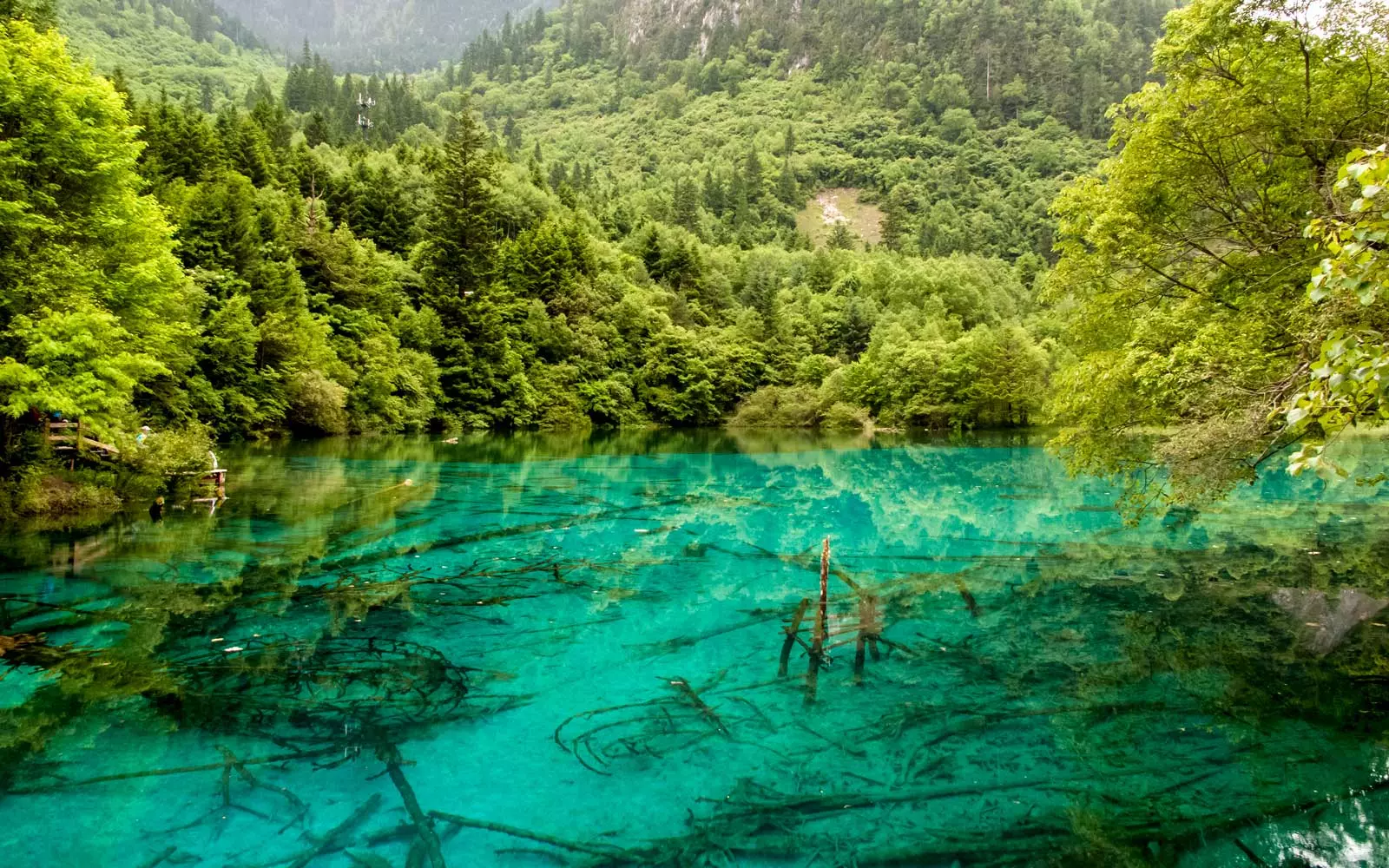 世界で最も青い水を見る13の場所