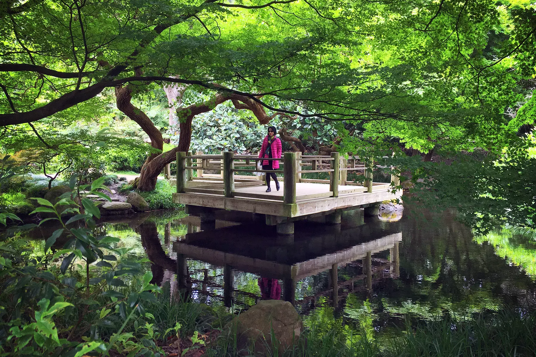 Wata mata da ke tsaye a cikin Lambun Botanical na San Francisco