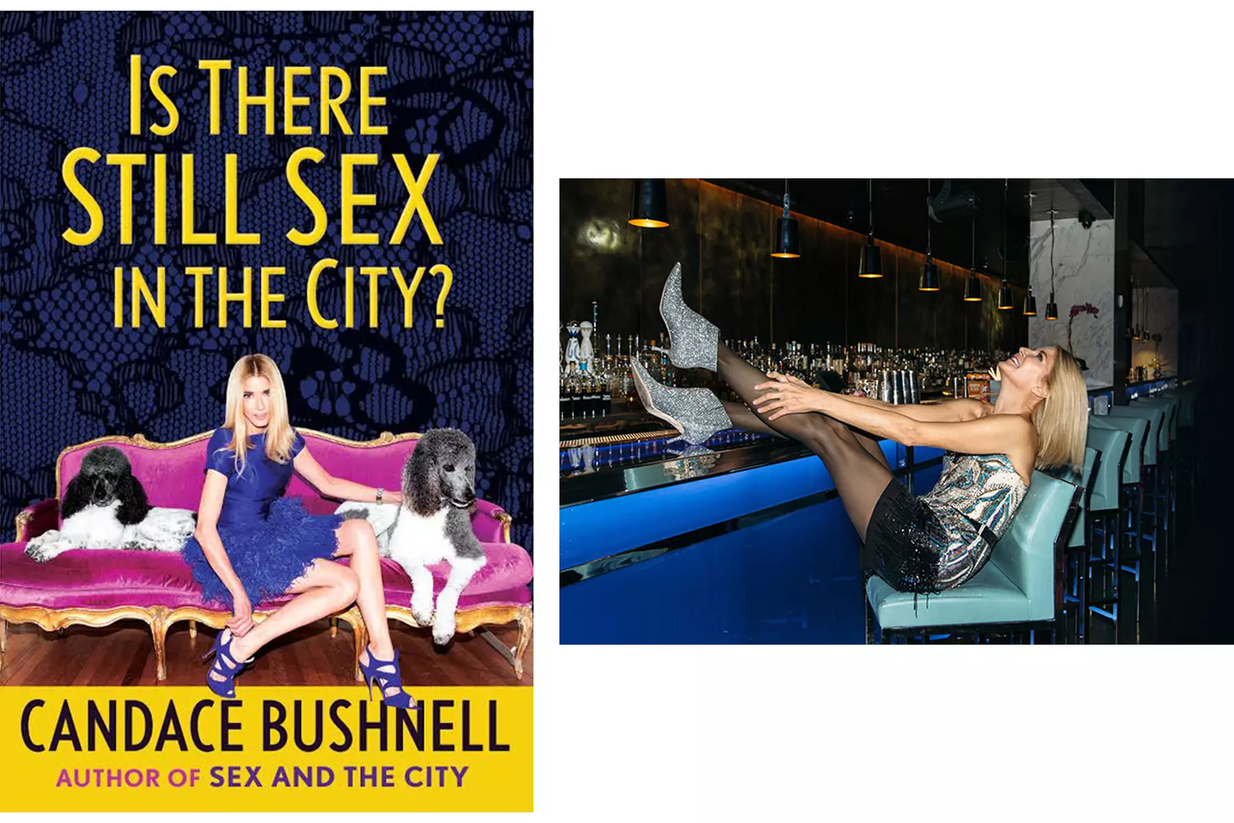 Libri i Candace Bushnell, A ka ende seks në qytet