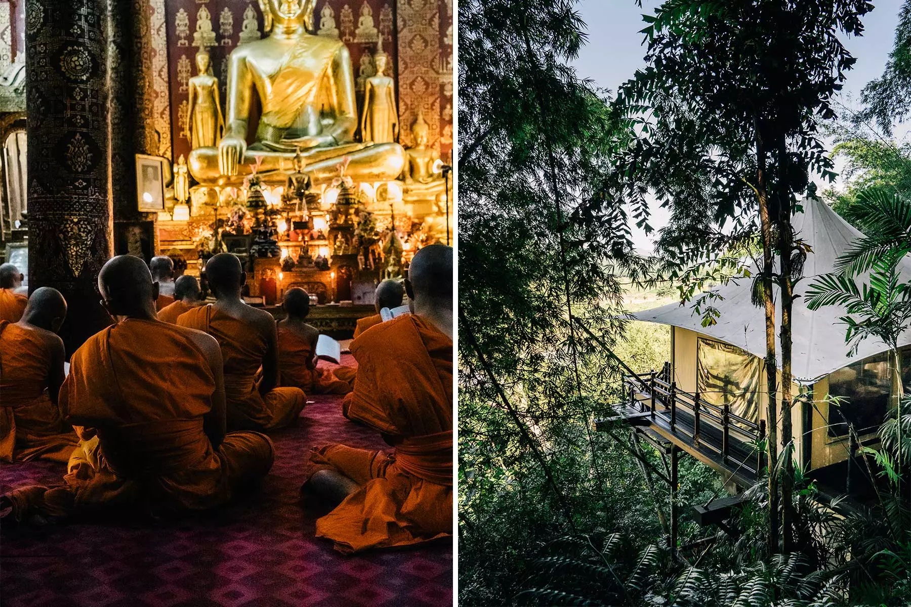 Տեսարաններ Մեկոնգ գետով նավարկությունից. վանականներ Լուանգ Պրաբանգի բուդդայական տաճարում և ծառատունկ Սյուիտ չորս սեզոններում