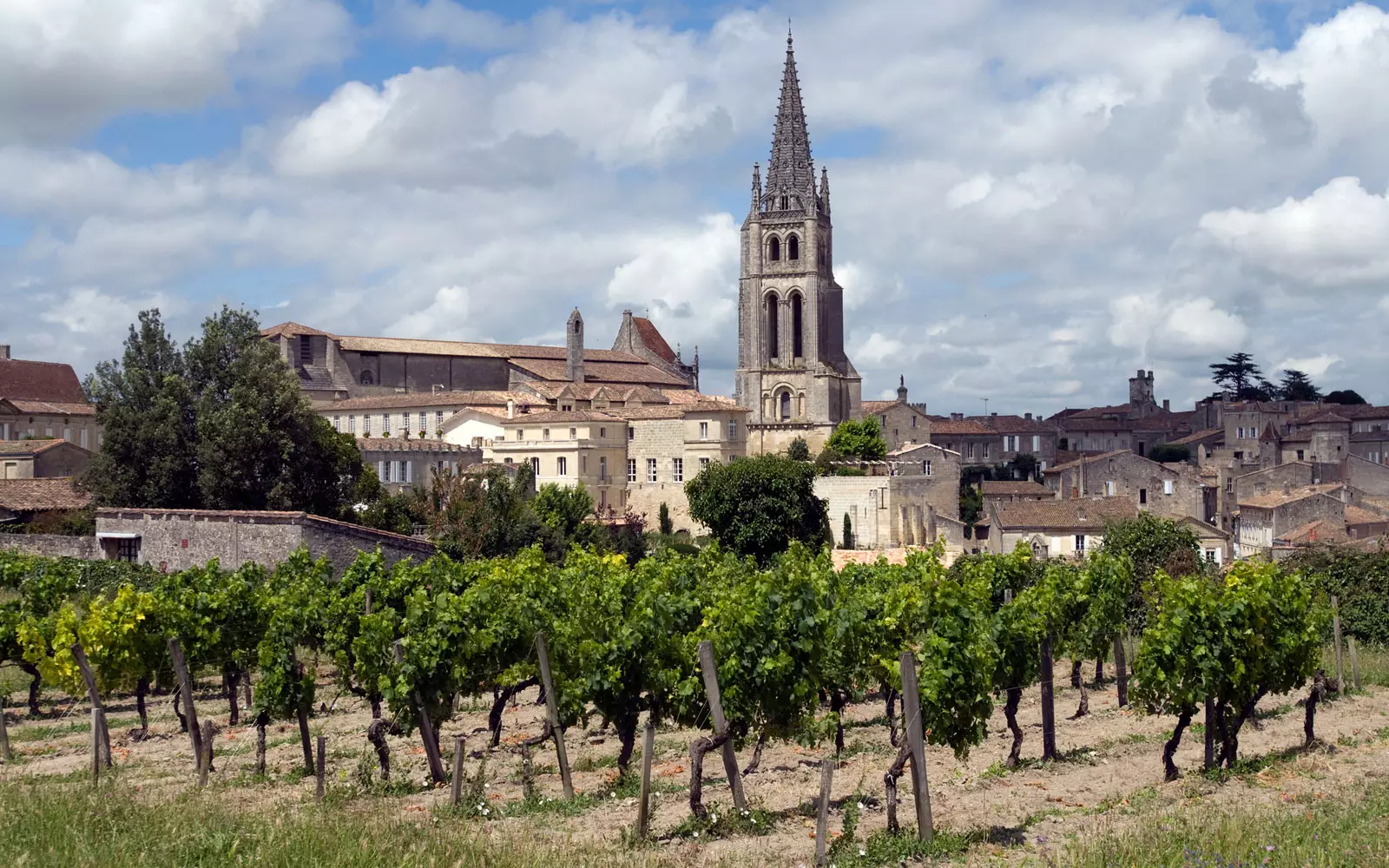 Vignobles de Saint Eillion en France