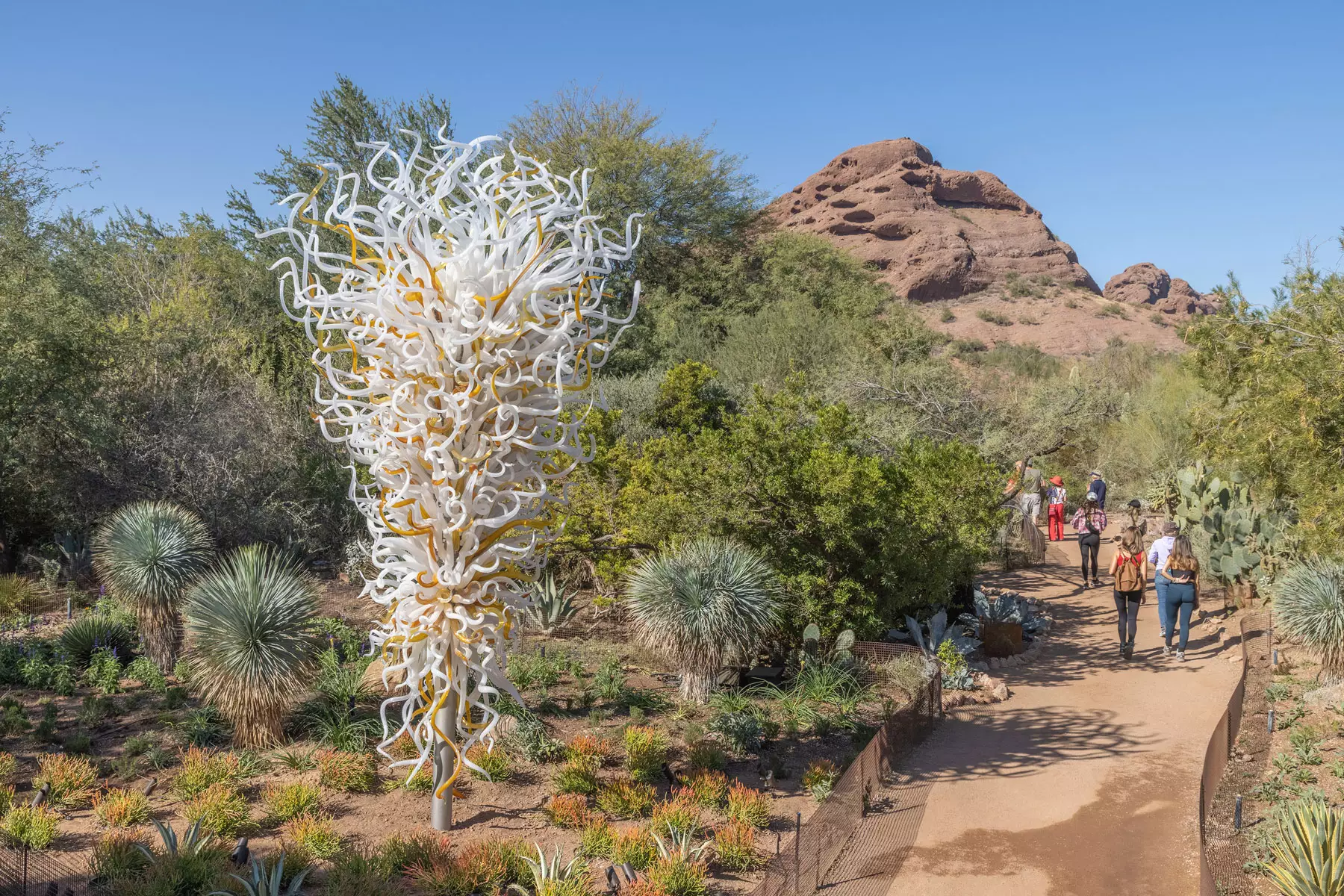 Dale Chihuly opál és borostyántorony, 2018-as sivatagi botanikus kert, Phoenix, telepítve 2021