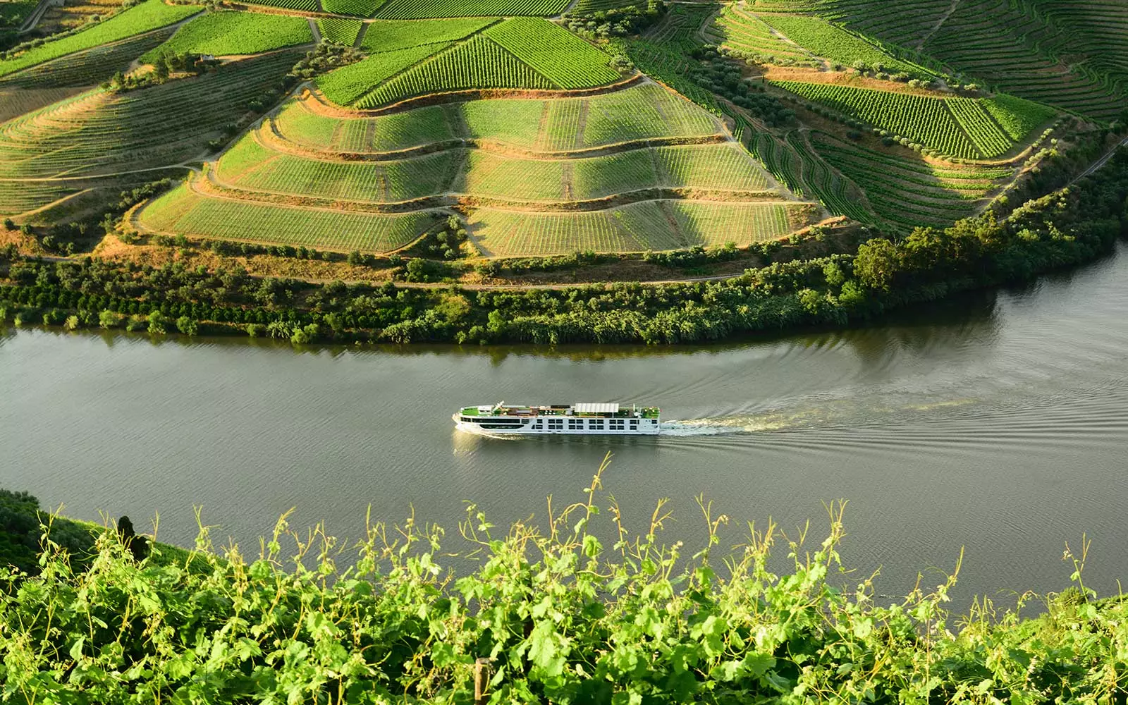 ล่องเรือชมวิว