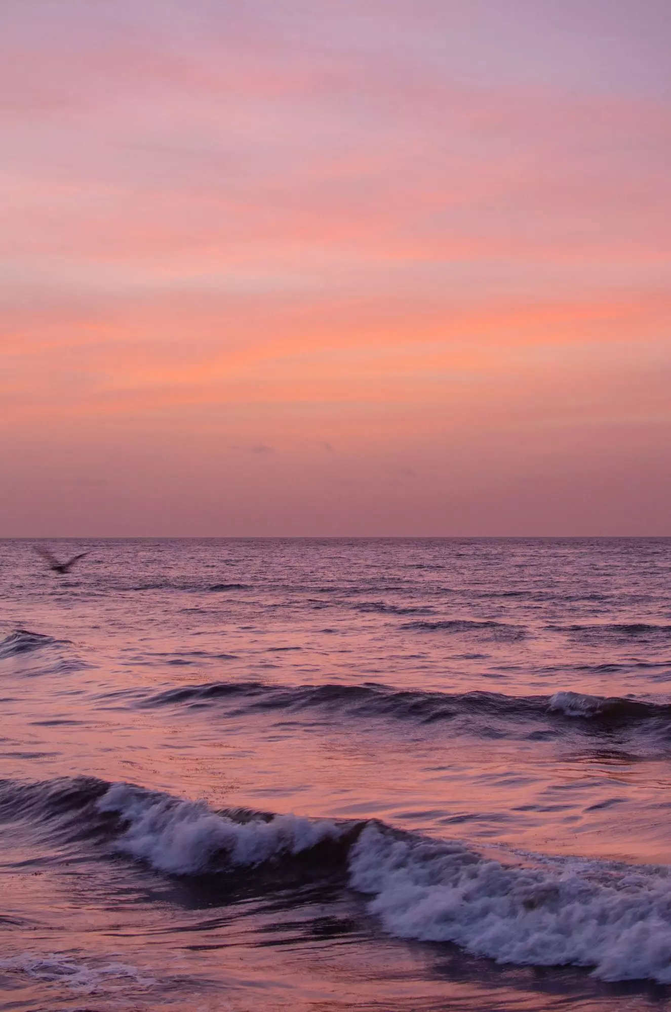 Żywy różowo-fioletowy zachód słońca na plaży w Tulum