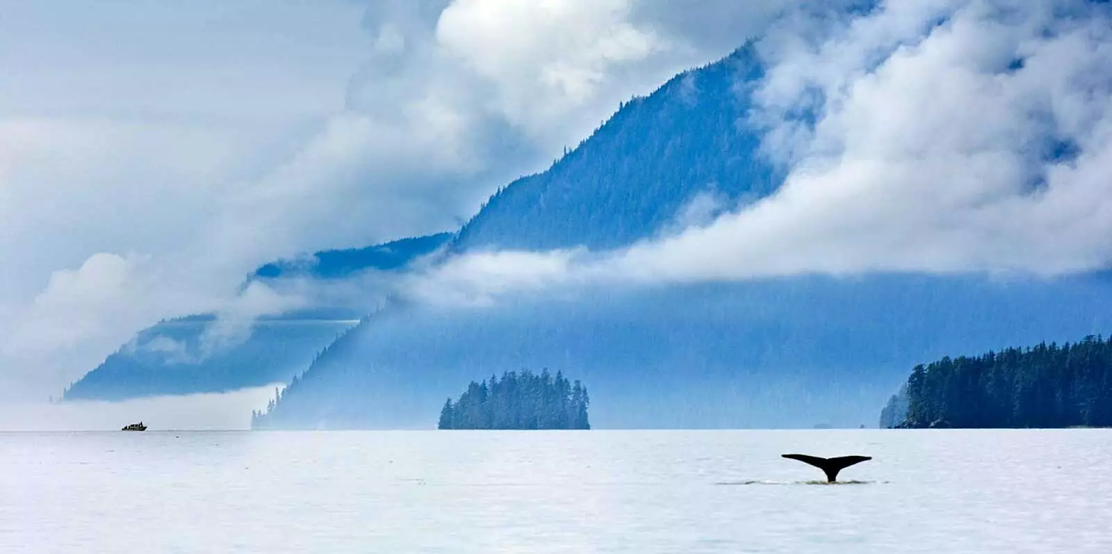 Tato plavba po Aljašce na lince Holland America vás zavede přímo přes ohromující zátoku Glacier Bay