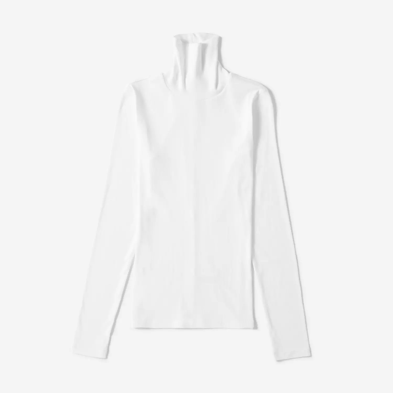 Everlane Pima Micro-Rib Turtleneck