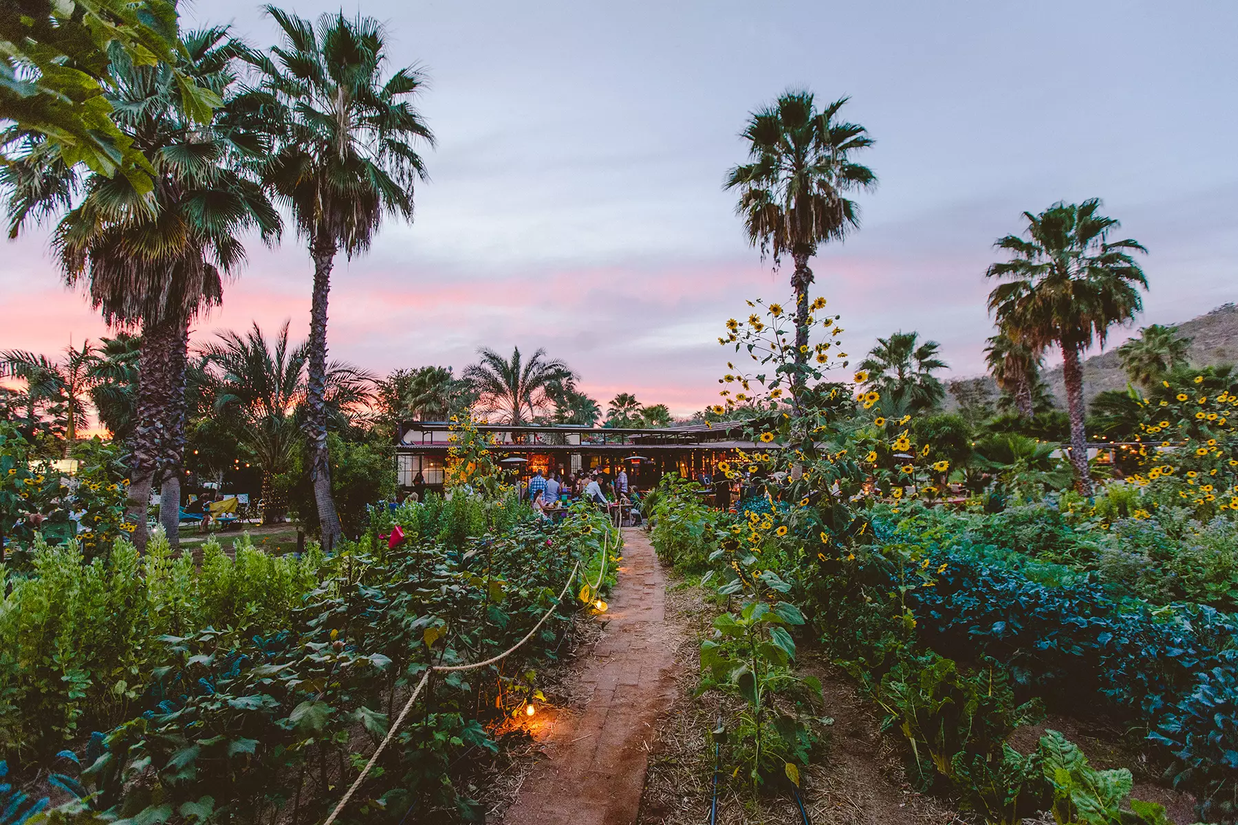 Vue extérieure de Flora Farms