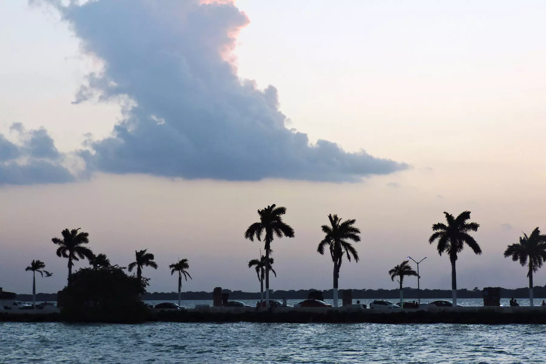 Silhouet fan palmbeammen en auto's lâns it wetter by sinne opgong yn Chetumal, Meksiko