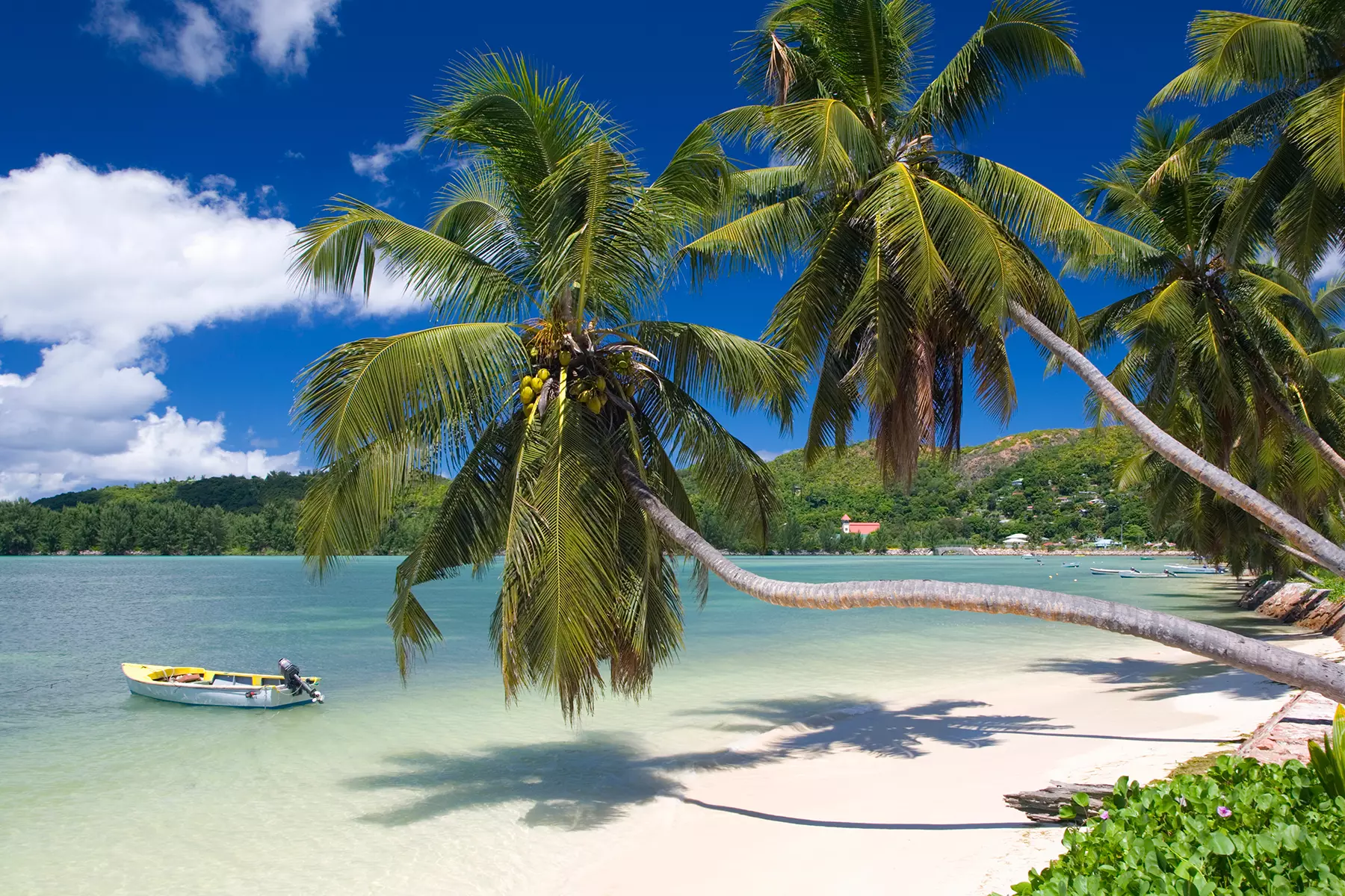 Palm-gevoerde baai, Baie Ste Anne, Praslin, Seychelle