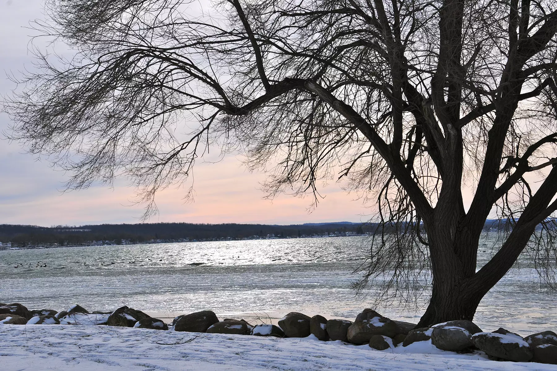 Гранките на дрвјата го вградуваат погледот на езерото Фингер во Њујорк