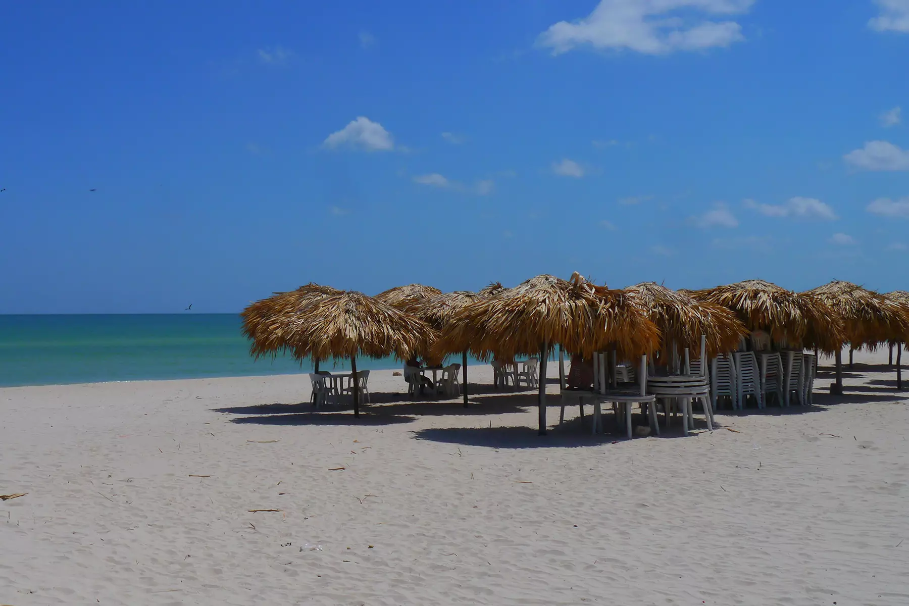 percutian musim panas panoramik pantai dan lautan Sisal Mexico