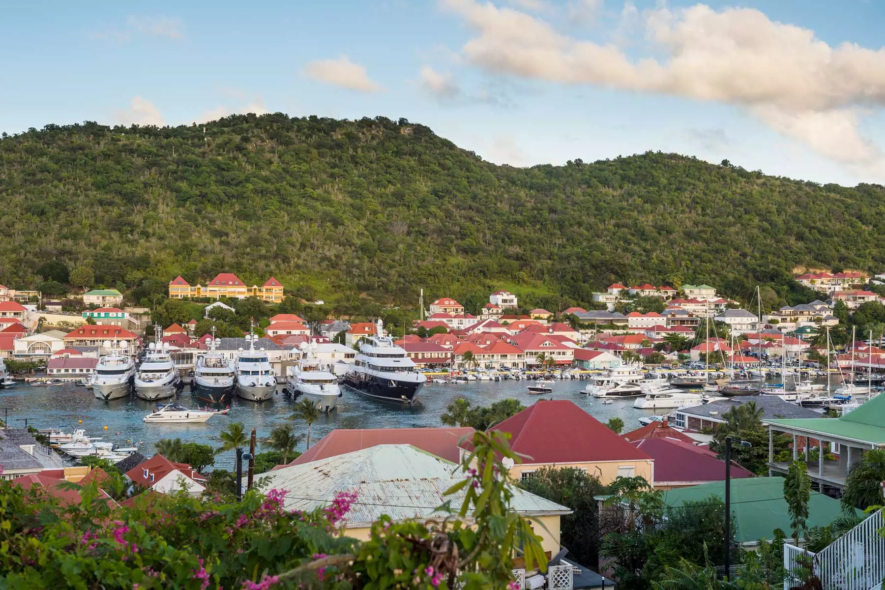 Gustavia၊ St Barth's ဆိပ်ကမ်းရှိ ရွက်လှေများ