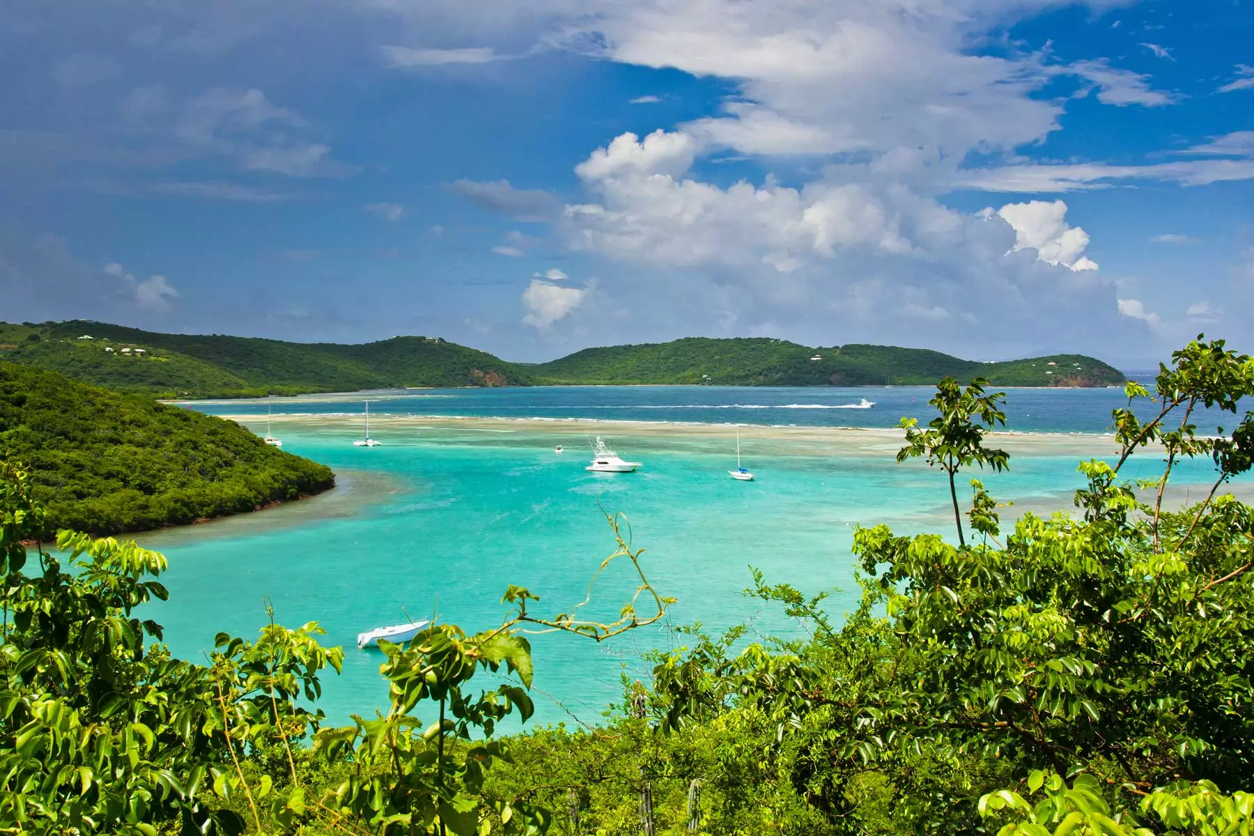 Pemandangan air pirus dan tanaman hijau di Pulau Culebra, Puerto Rico