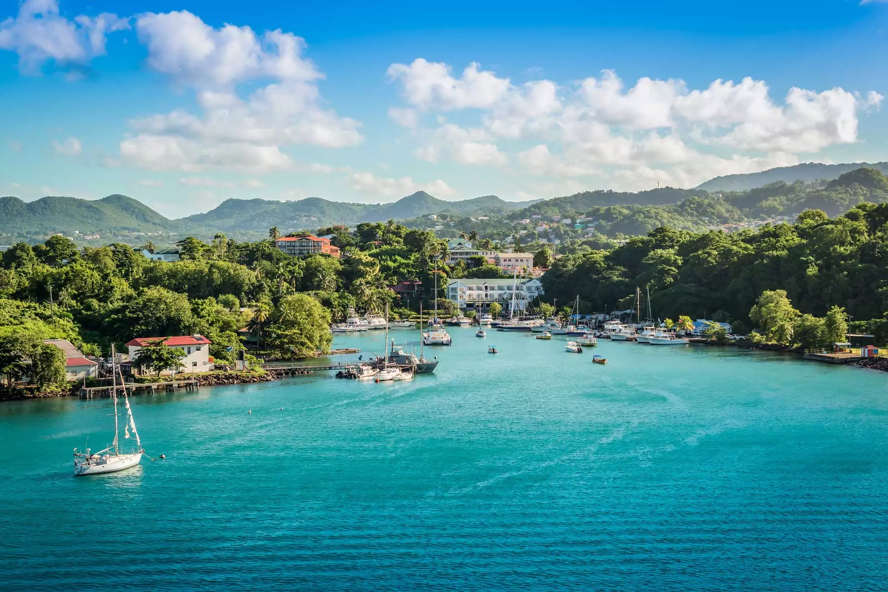 نمایی از مارینا در Castries، سنت لوسیا