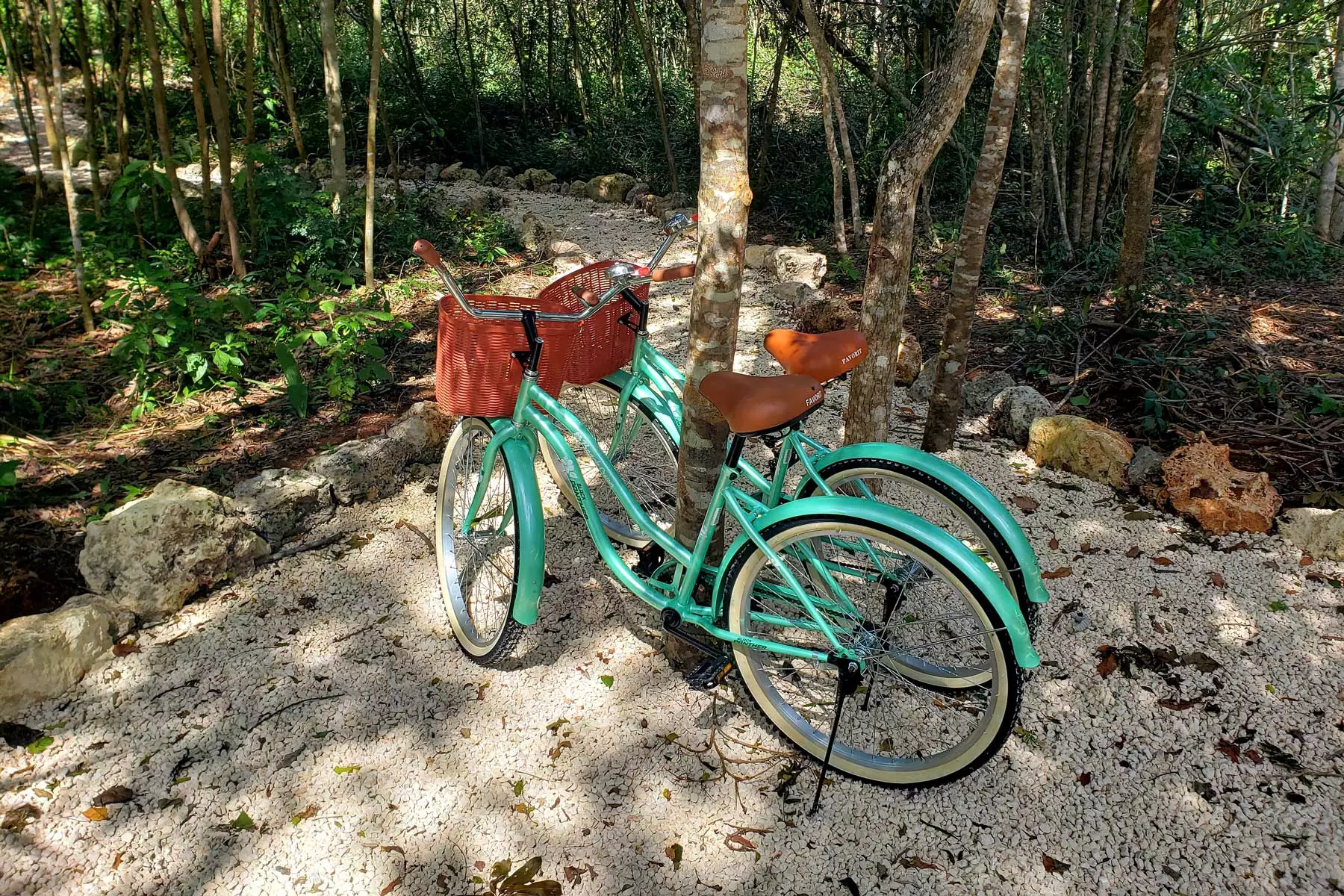 Glashus glamping Airbnb i Puerto Morelos, Quintana Roo, Mexiko