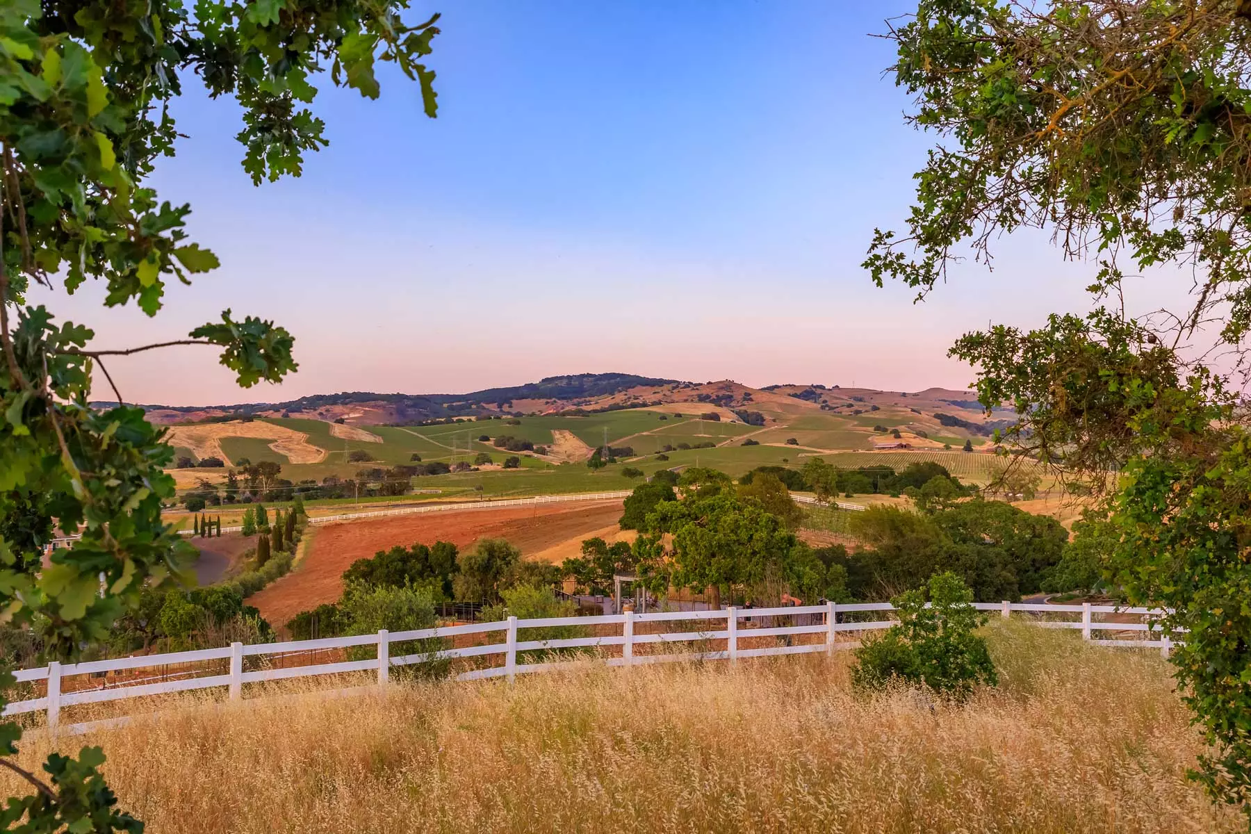 Krajina s kopci a údolími při západu slunce na vinici na jaře v Napa Valley, Kalifornie