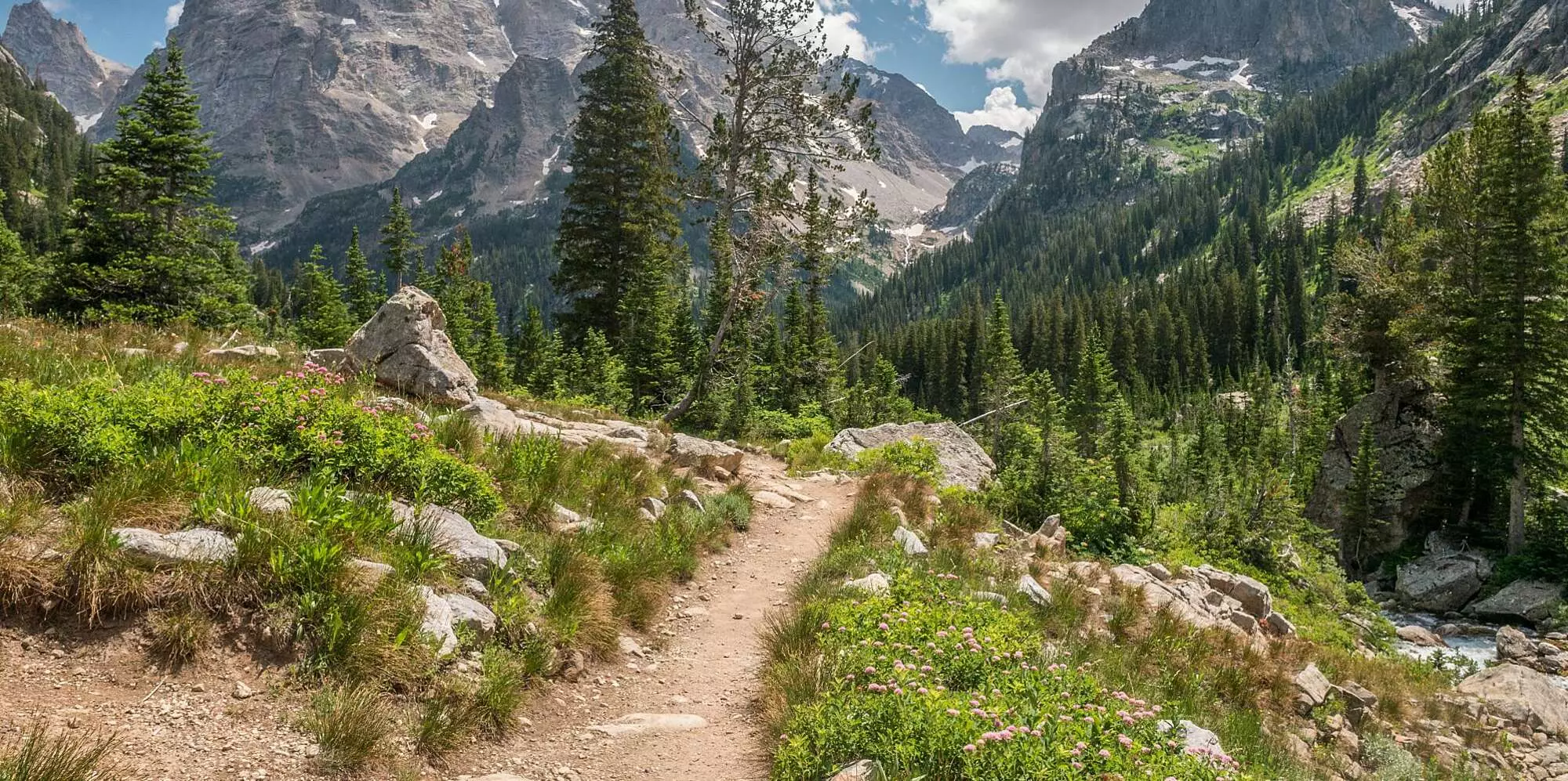 Pariki ya Yellowstone na Grand Teton yashyizeho inyandiko nshya yabashyitsi muri Mata