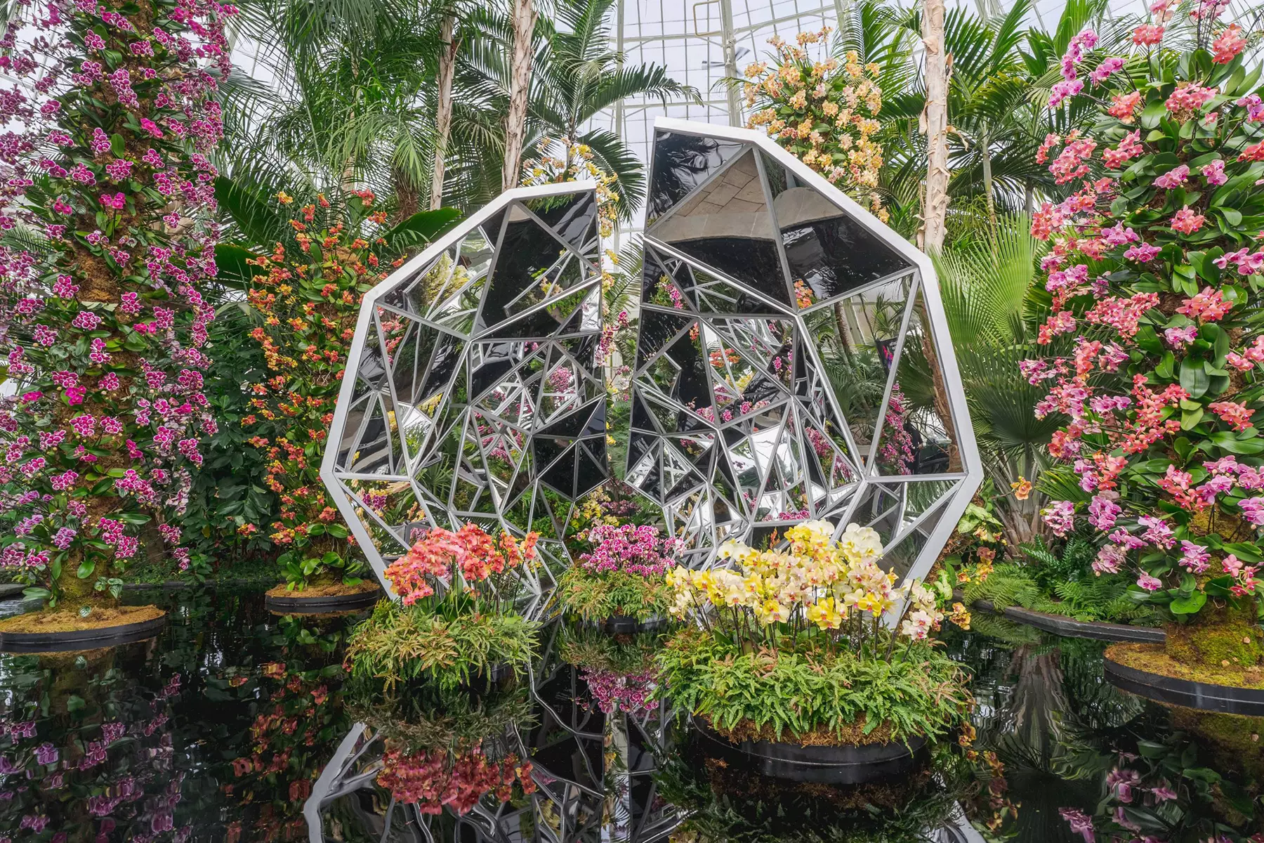 Ang mga orchid tower naglibot sa usa ka kaleidoscopic installation