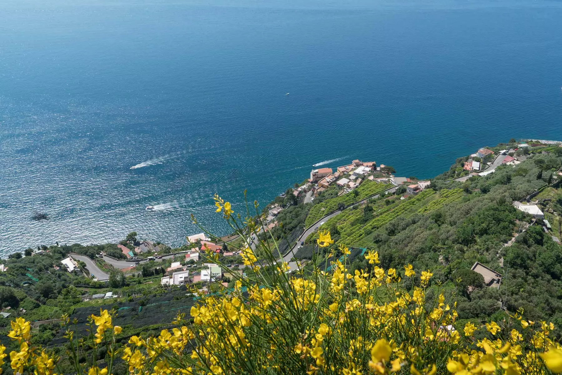 Fugalaau samasama i luga o le Sami Metitirani i le Talafatai o Amalfi i Italia