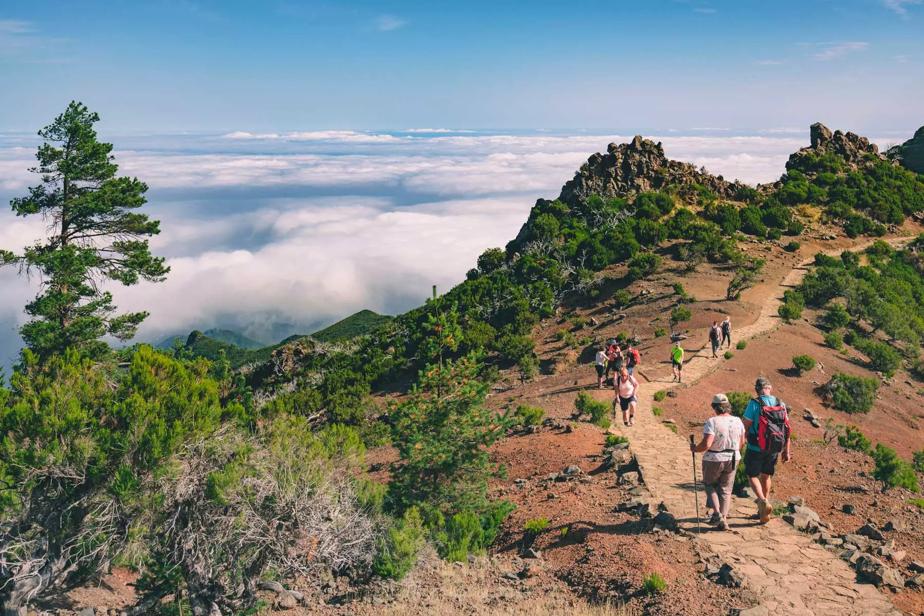 O tagata i luga o le savaliga a Pico Ruivo i Madeira, Potukale