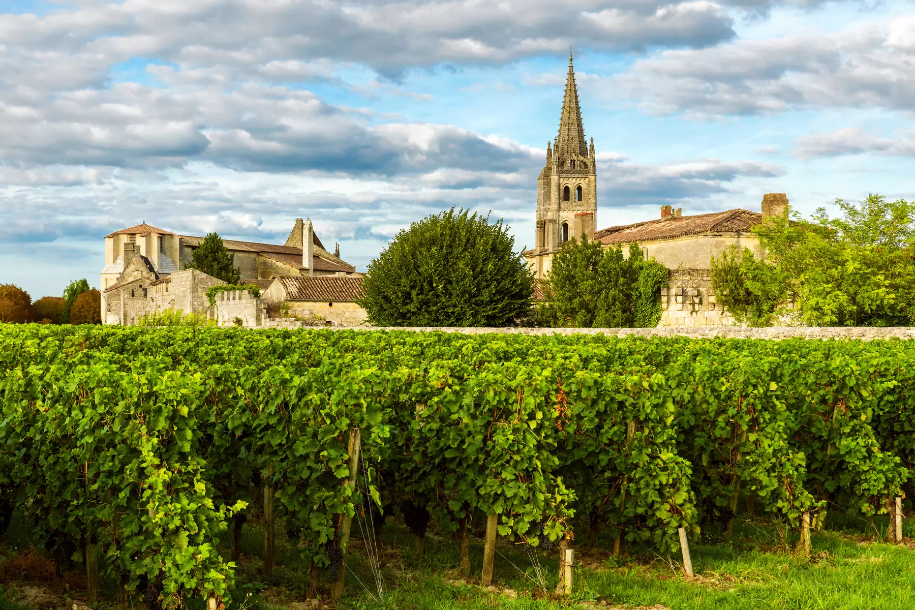 Saulaina bordo vīna dārzu ainava Saint Emilion pilsētā Akvitānijas reģionā, Francijā