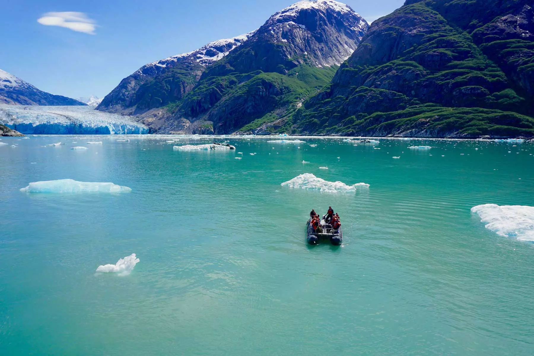 Gastoj de Alaskan krozado en ekskurso en zodiako