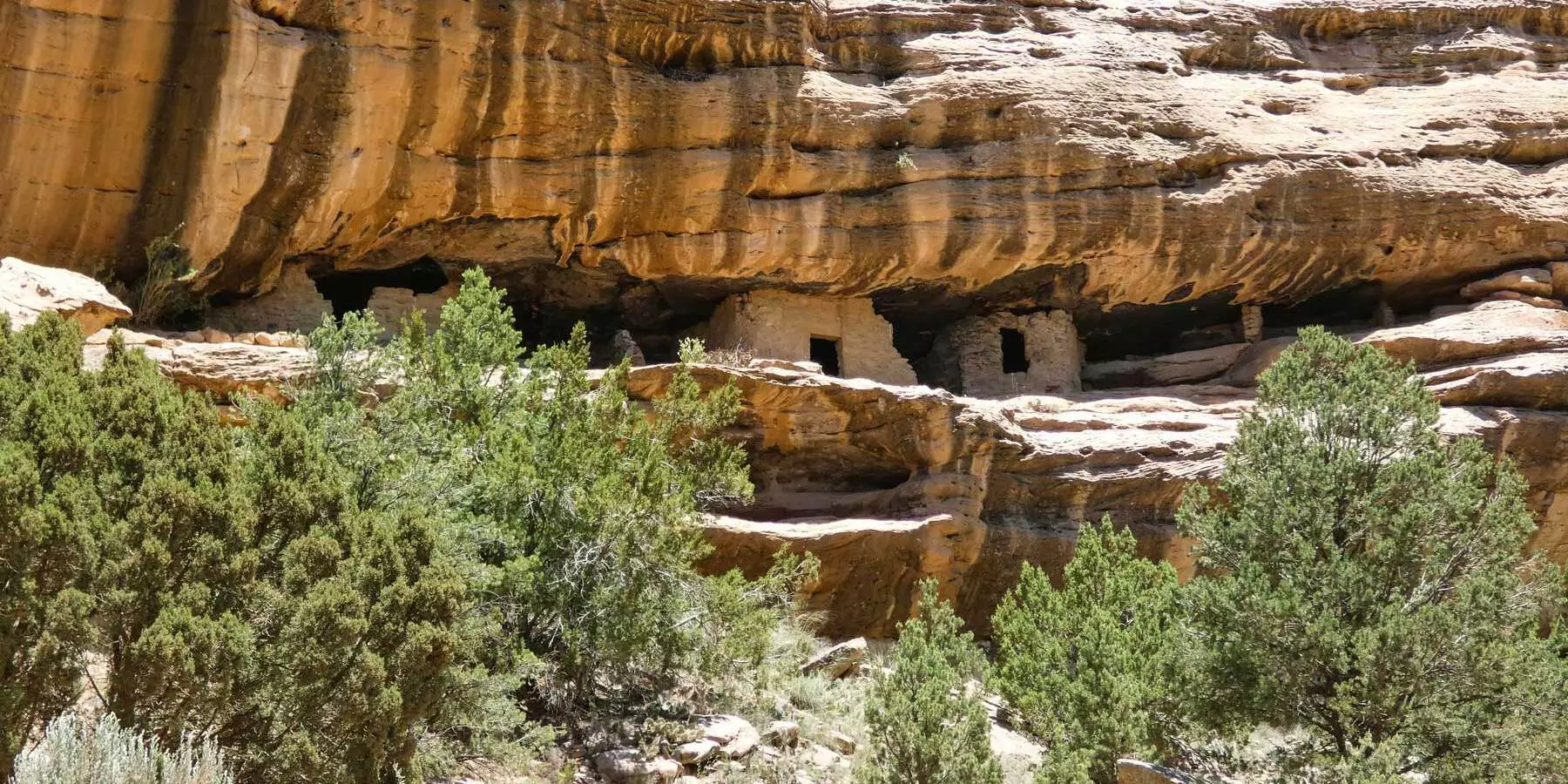 Karsaziyên xwecihî yên li New Mexico Pueblo ya Zuni