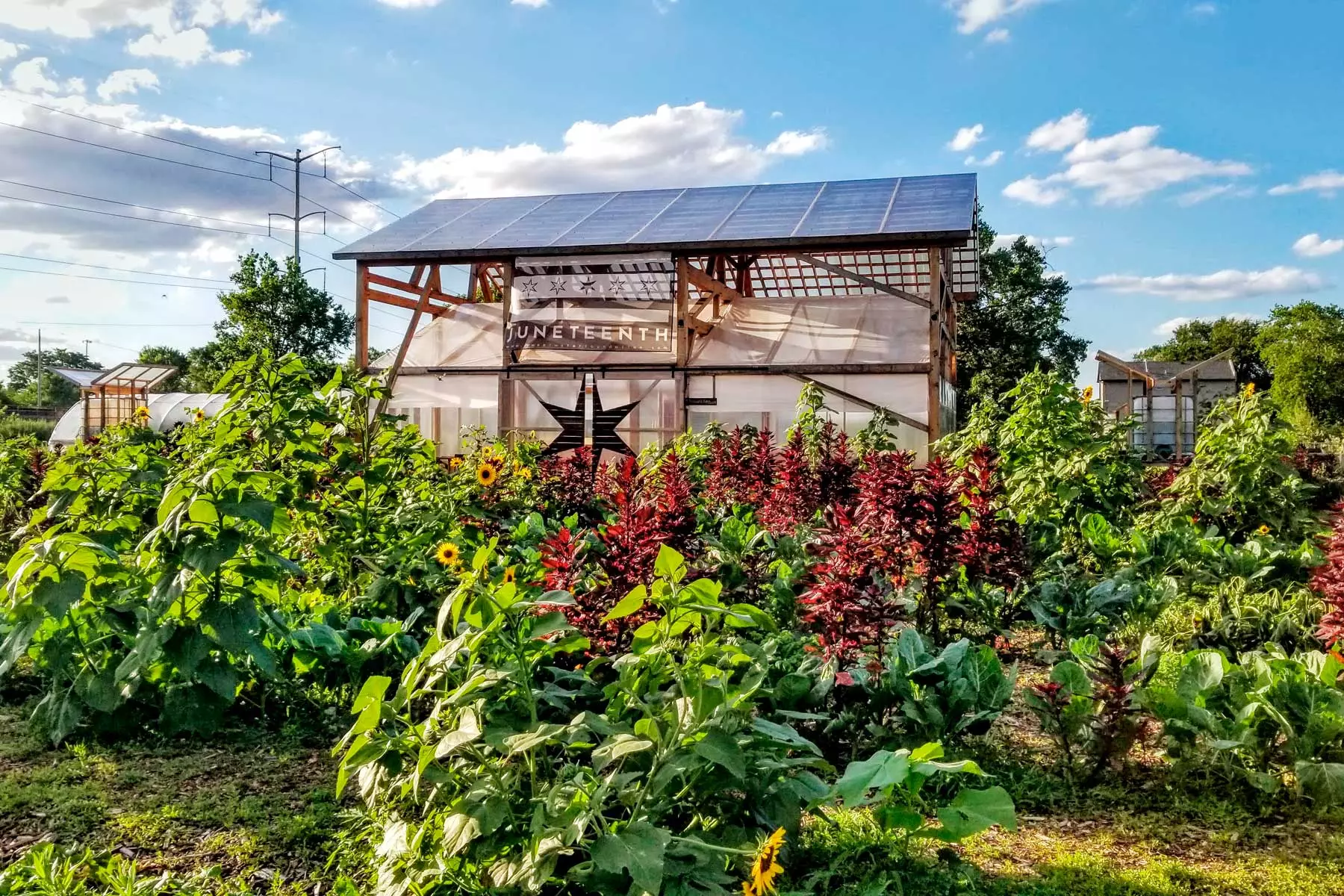 Un graner envoltat de vegetació