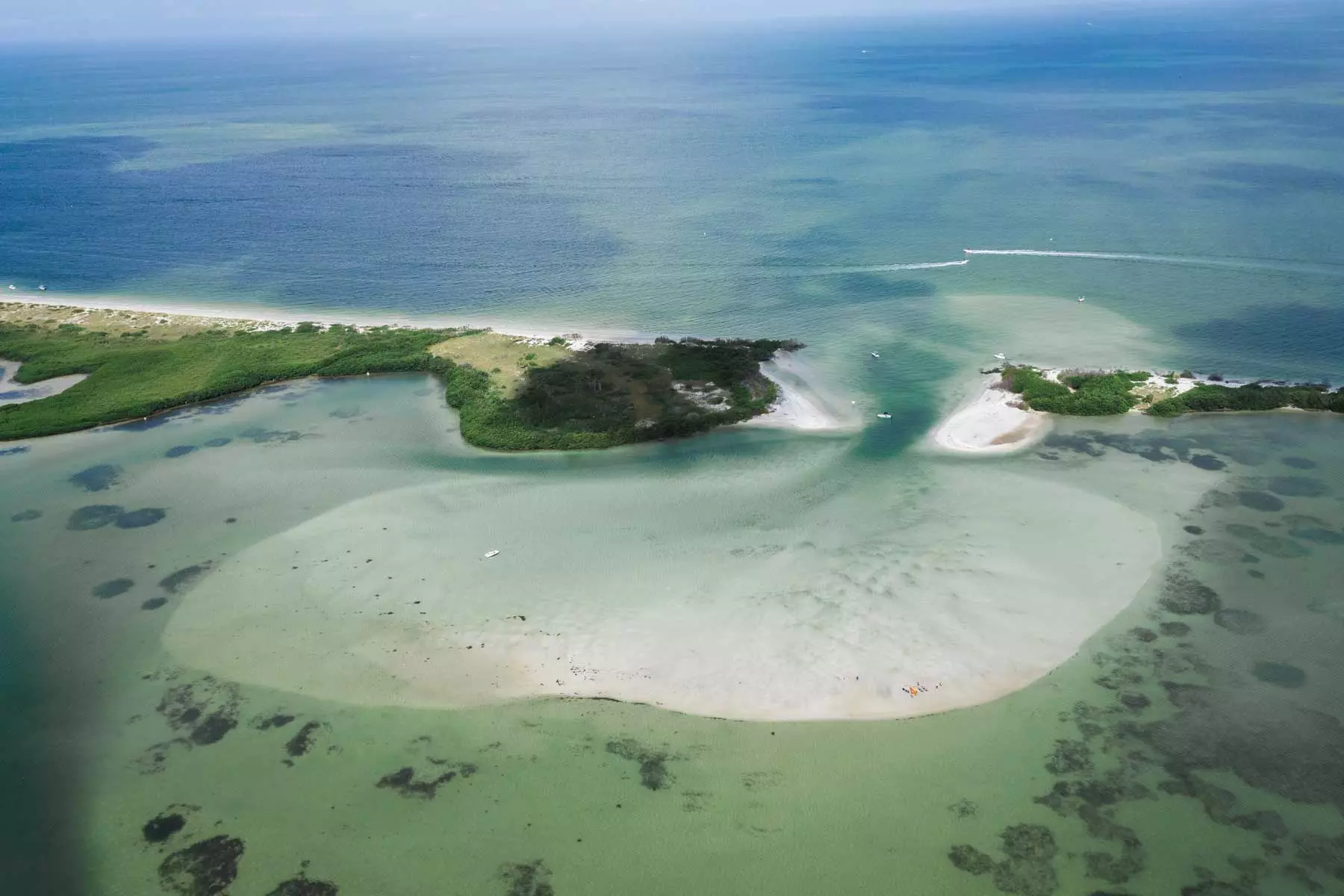 Sta op en ga Tampa Bay's heldere kajakken bij Shell Key Preserve luchtfoto's