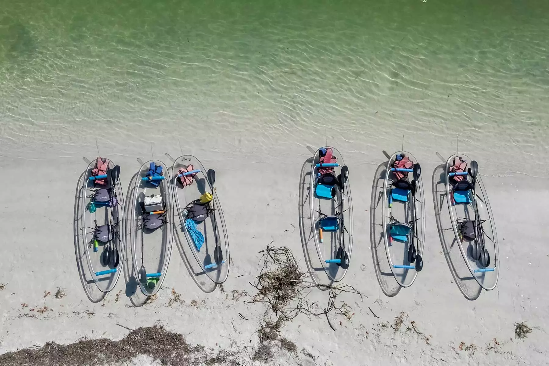 Levántese y disfrute del kayak transparente de la bahía de Tampa en las vistas aéreas de Shell Key Preserve