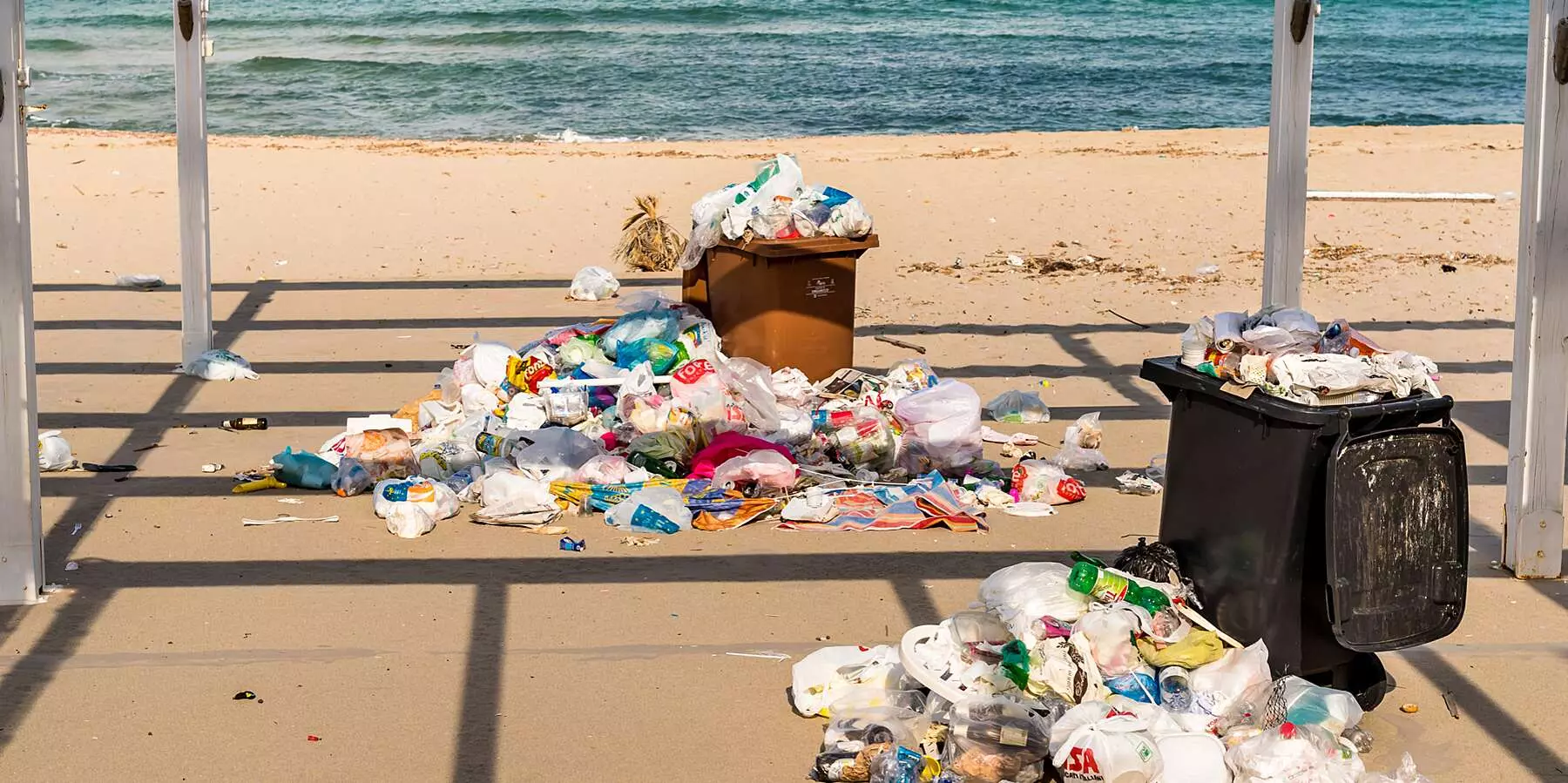 3 einfache Möglichkeiten, den Planeten zu retten, laut den Frauen hinter „Plastikfreien Freitagen“