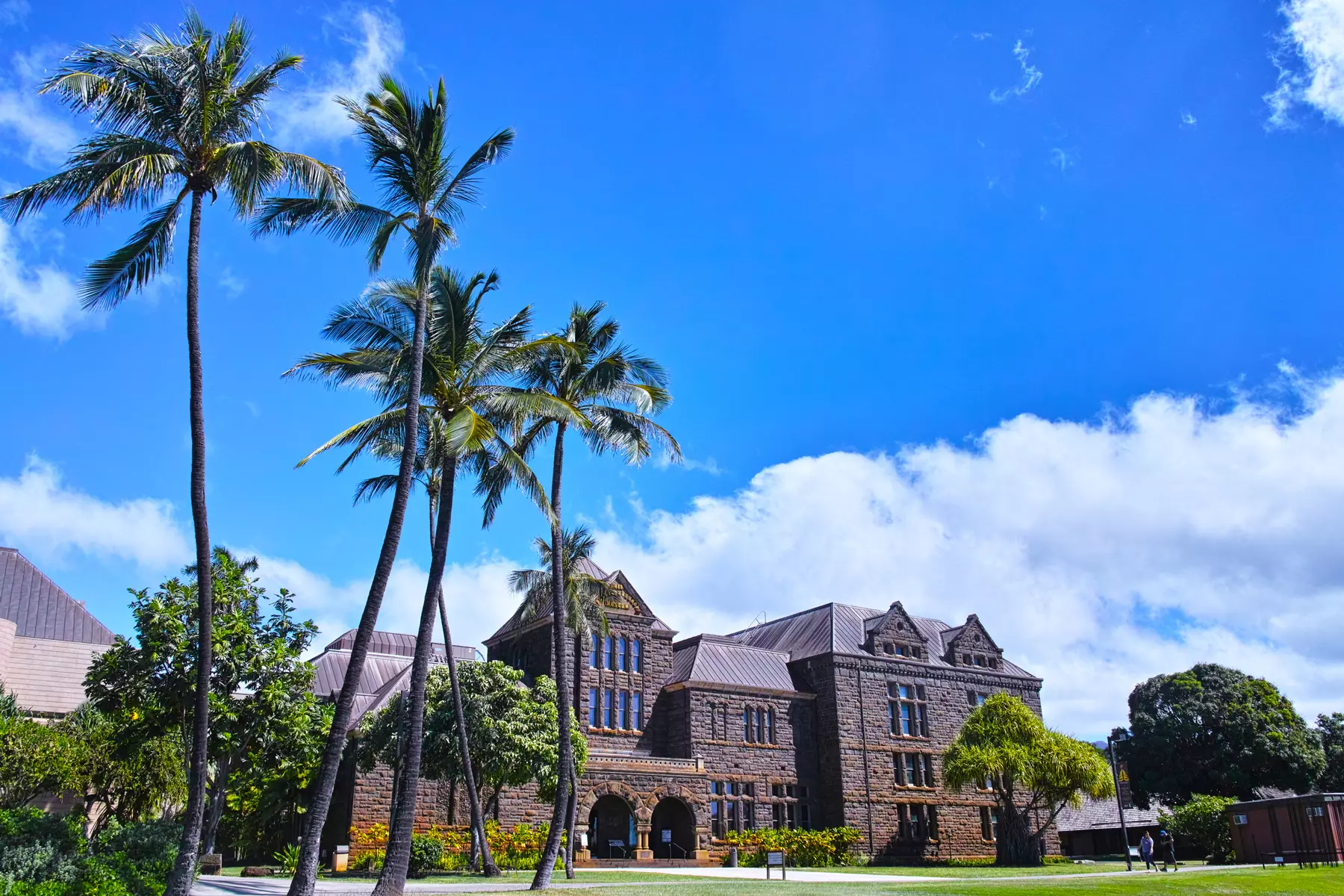 Museu Bishop a Honolulu. Fundat el 1889, aquest museu té exposicions sobre les cultures de la regió del Pacífic de Hawaii i la Polinèsia.