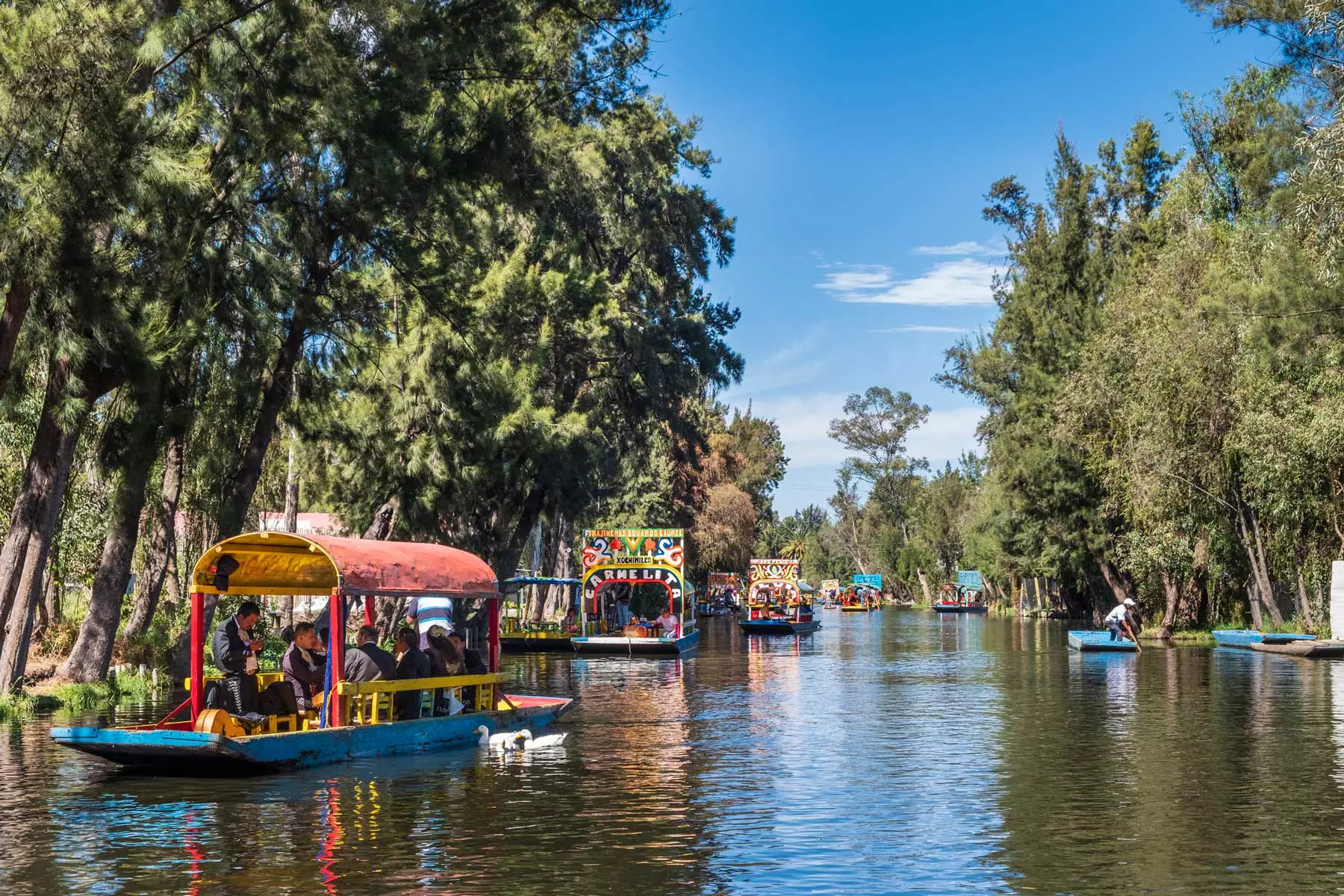 Spalvingi Xochimilco Meksikos kanalai ir laivai, Meksika