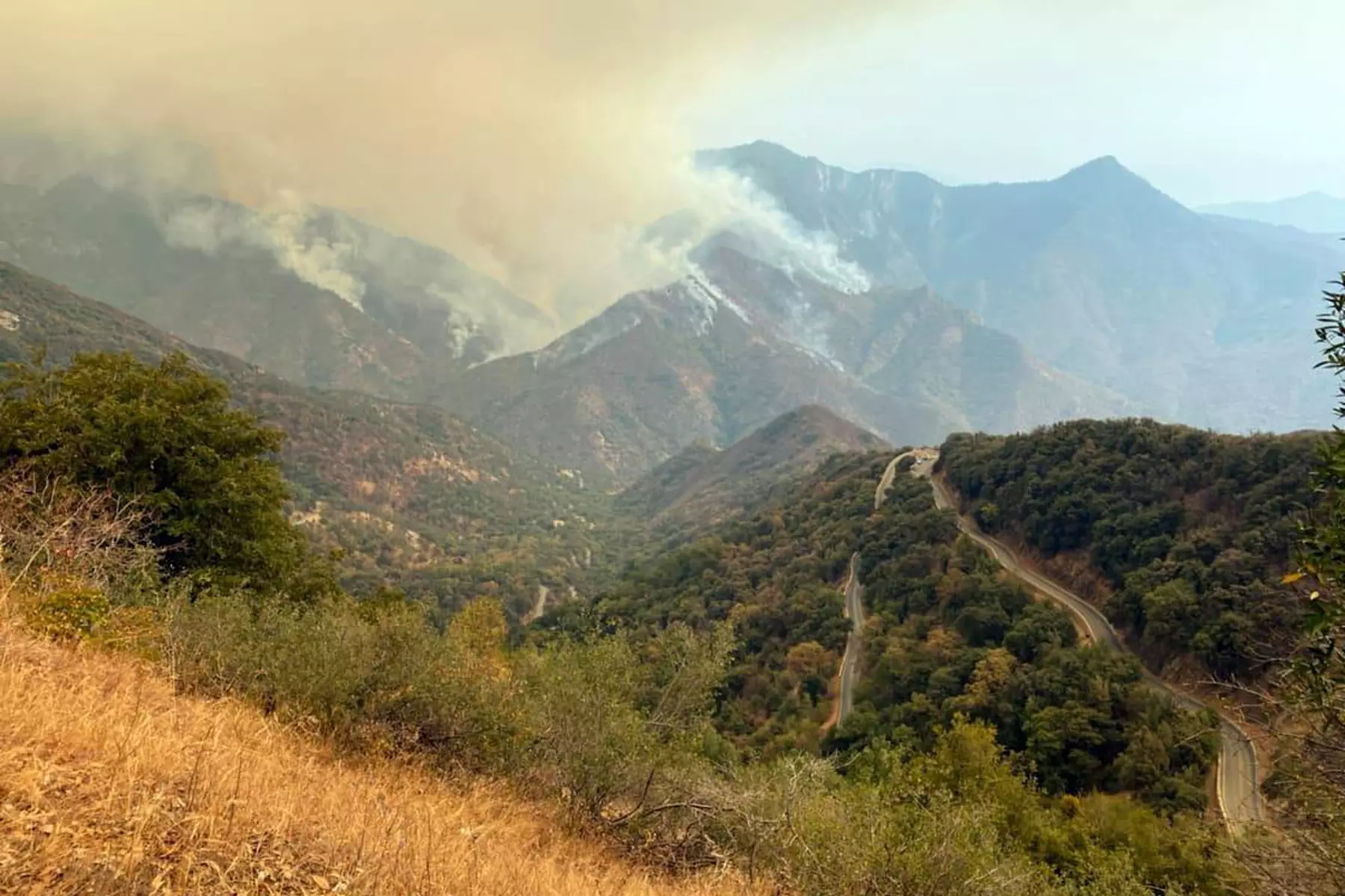 Penyat de fum del Paradise Fire el 09/12/2021