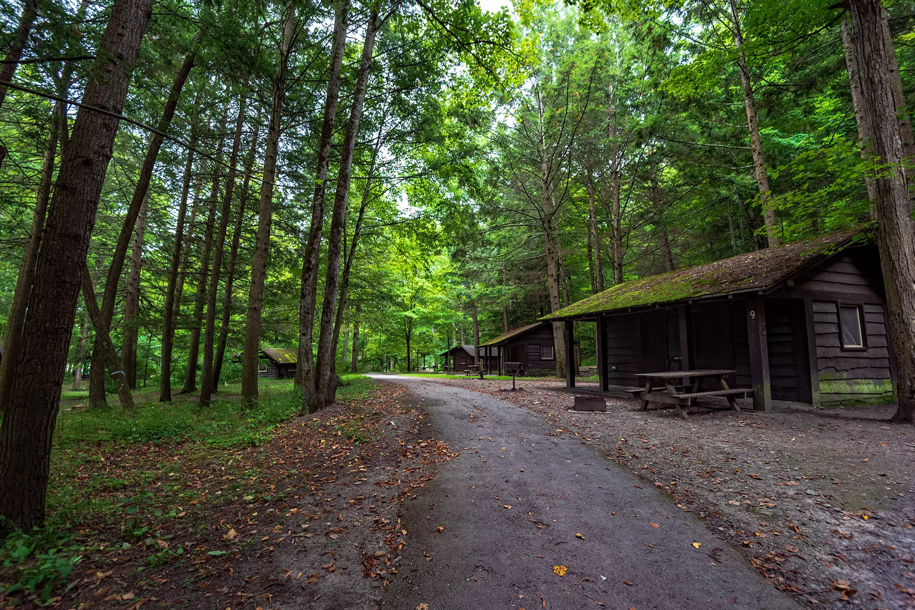 Robert H. Treman State Park: cabanes de zona d'acampada