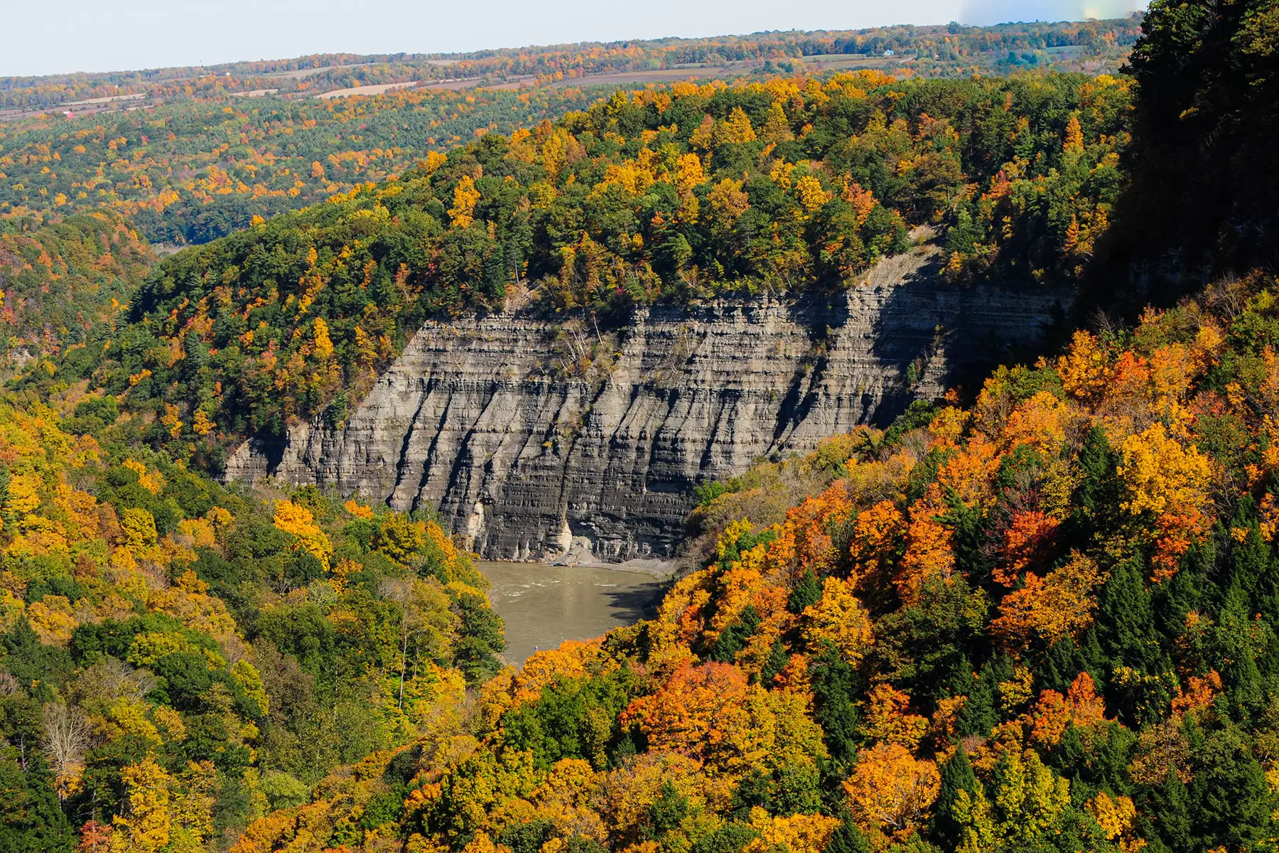 Golygfa golygfaol o goedwig yn ystod yr hydref, Parc Talaith Letchworth, Unol Daleithiau America