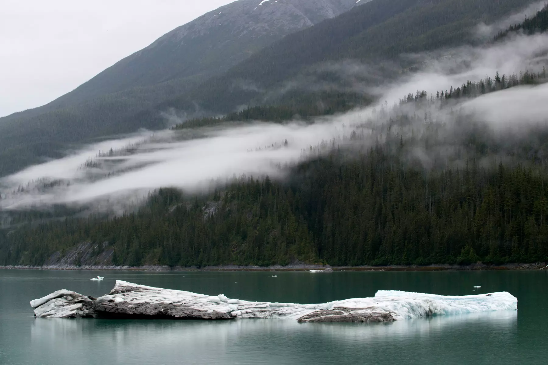 Icebergs ze Dawes Glacier, Endicott Arm, Tongass National Forest, Alaska