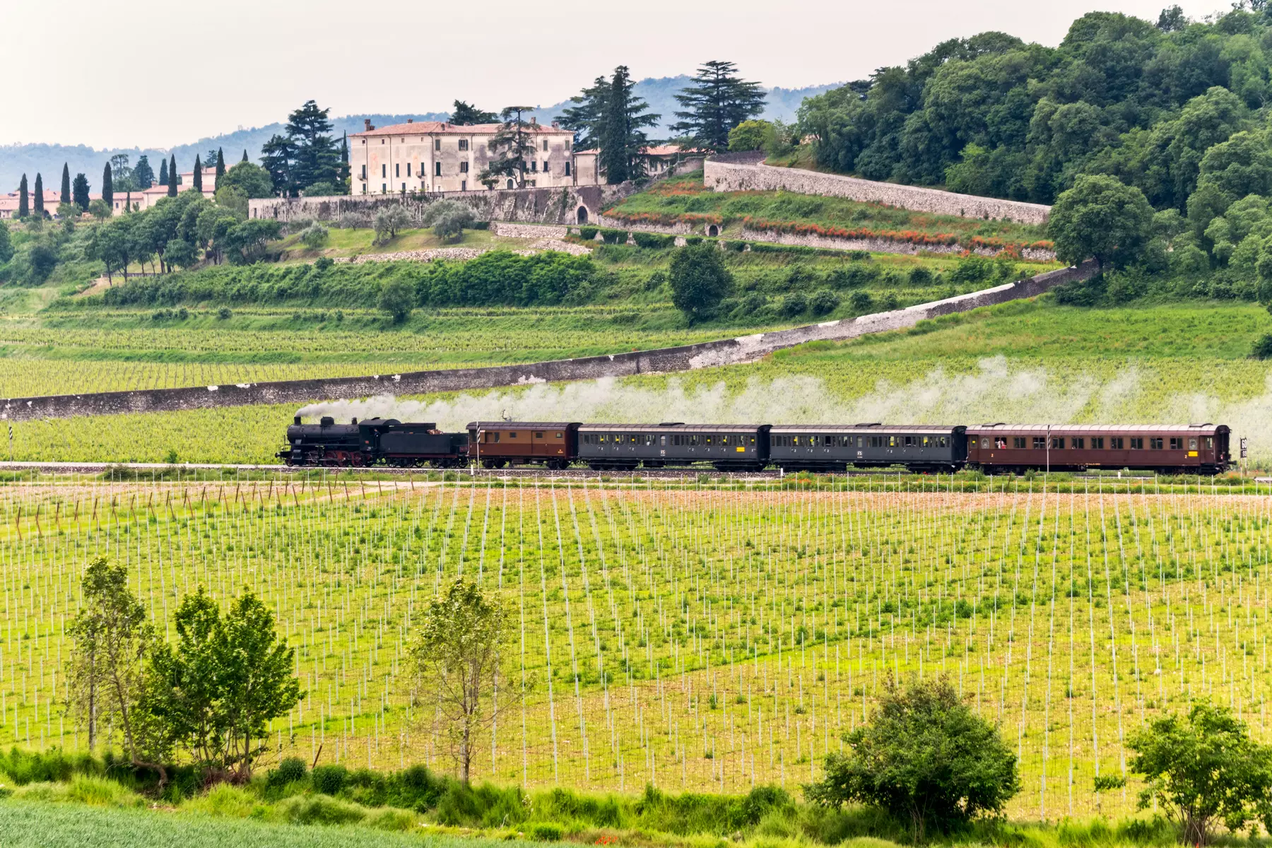 Treno in damp yn 'e wyngerds fan Franciacorta, Brescia provinsje, Itaalje, Jeropa