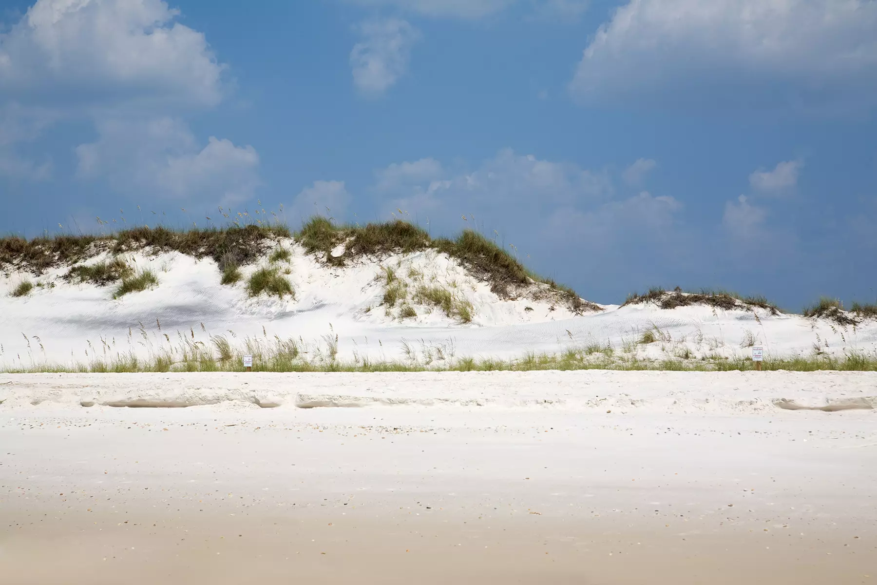 Dună de nisip pe o plajă cu nisip alb din Cape San Blas, Florida