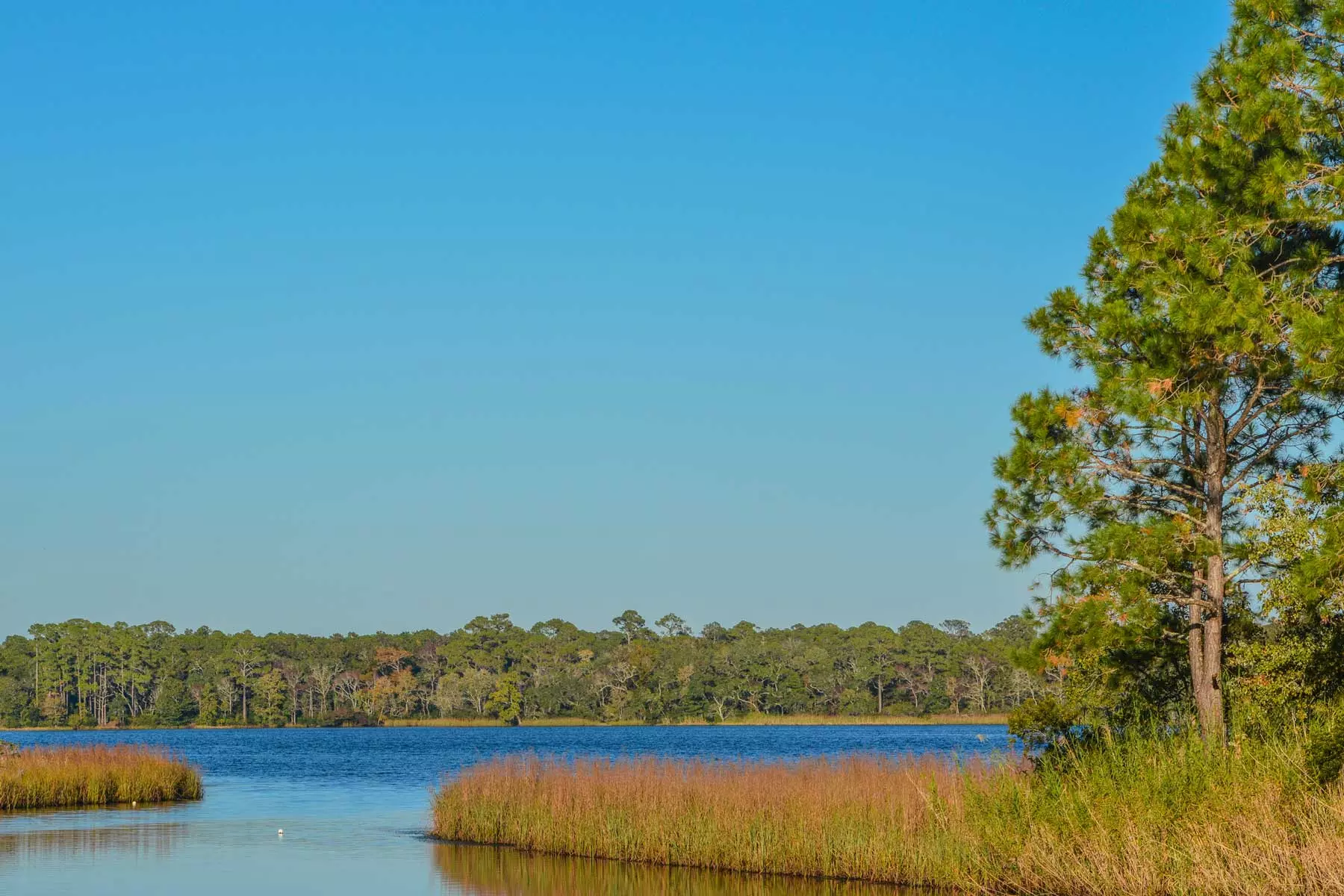 Basin Bayou í Freeport, Walton County, Flórída