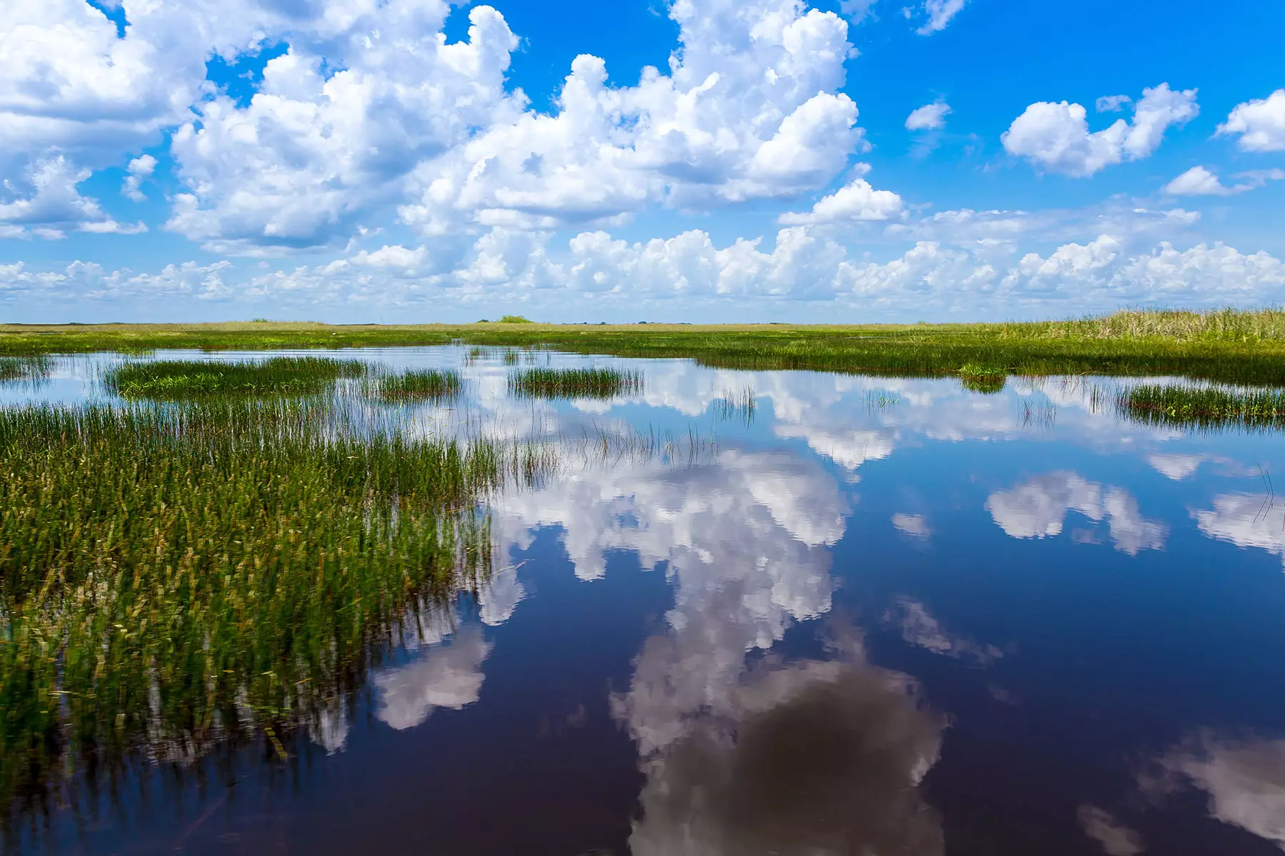 Lanskap alam sing nggumunake ing Everglades, Florida kidul, AS